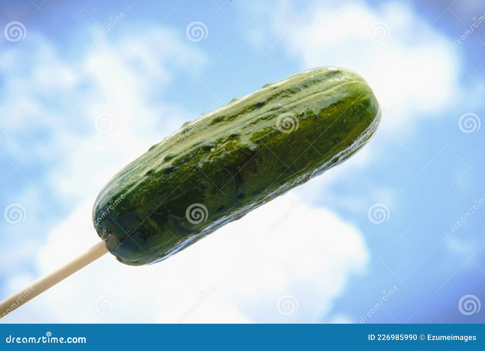 Half Sour Pickle Stick stock photo. Image of grocery - 226985990