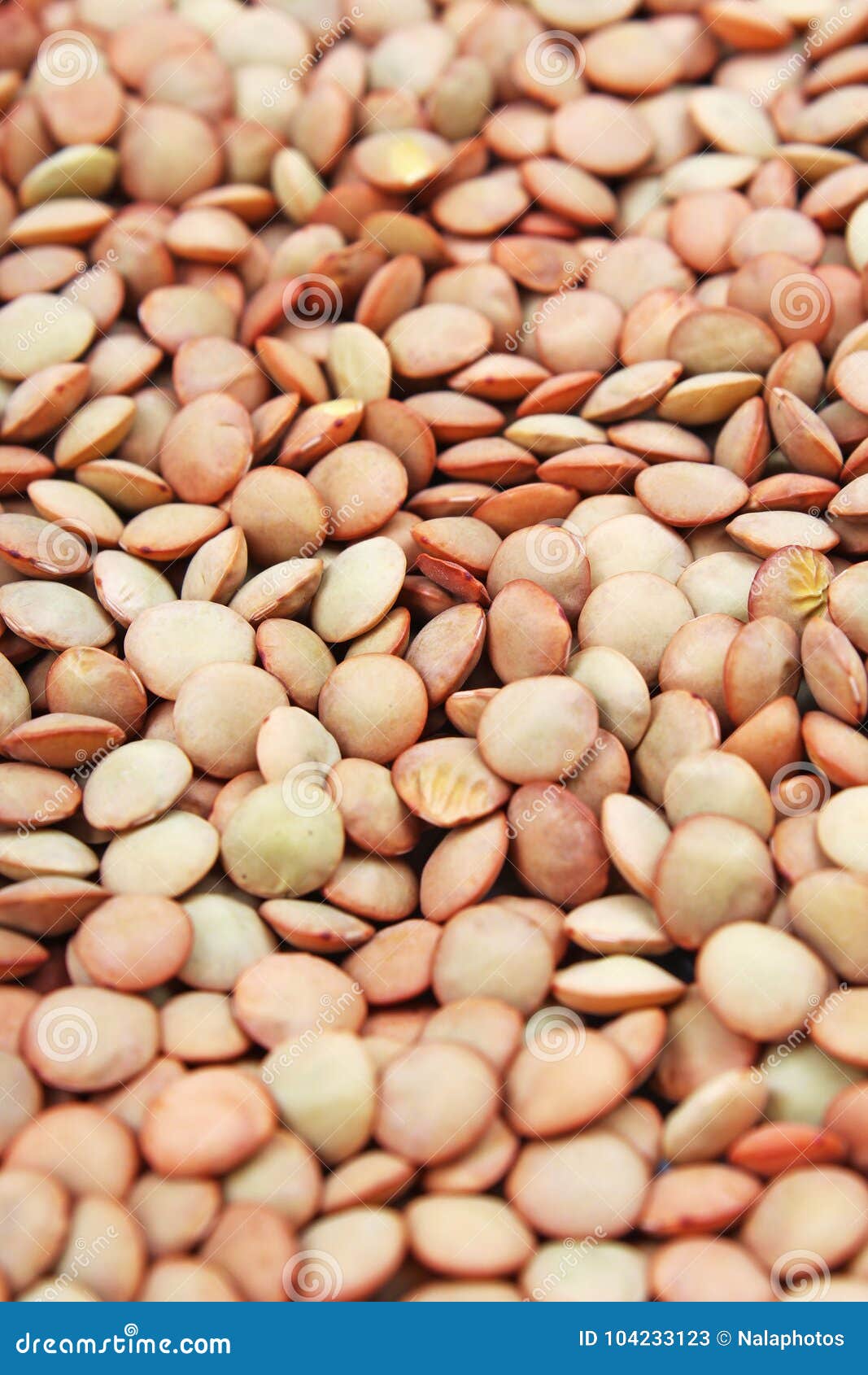 Eating Lentil Texture. Lentils Pattern As Background Stock Image ...