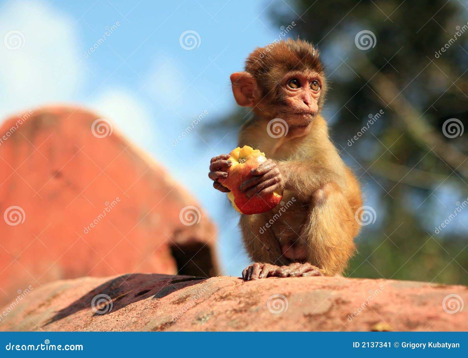 Royalty Free Images, Cartoons, Illustrations And Photos Designed By ...