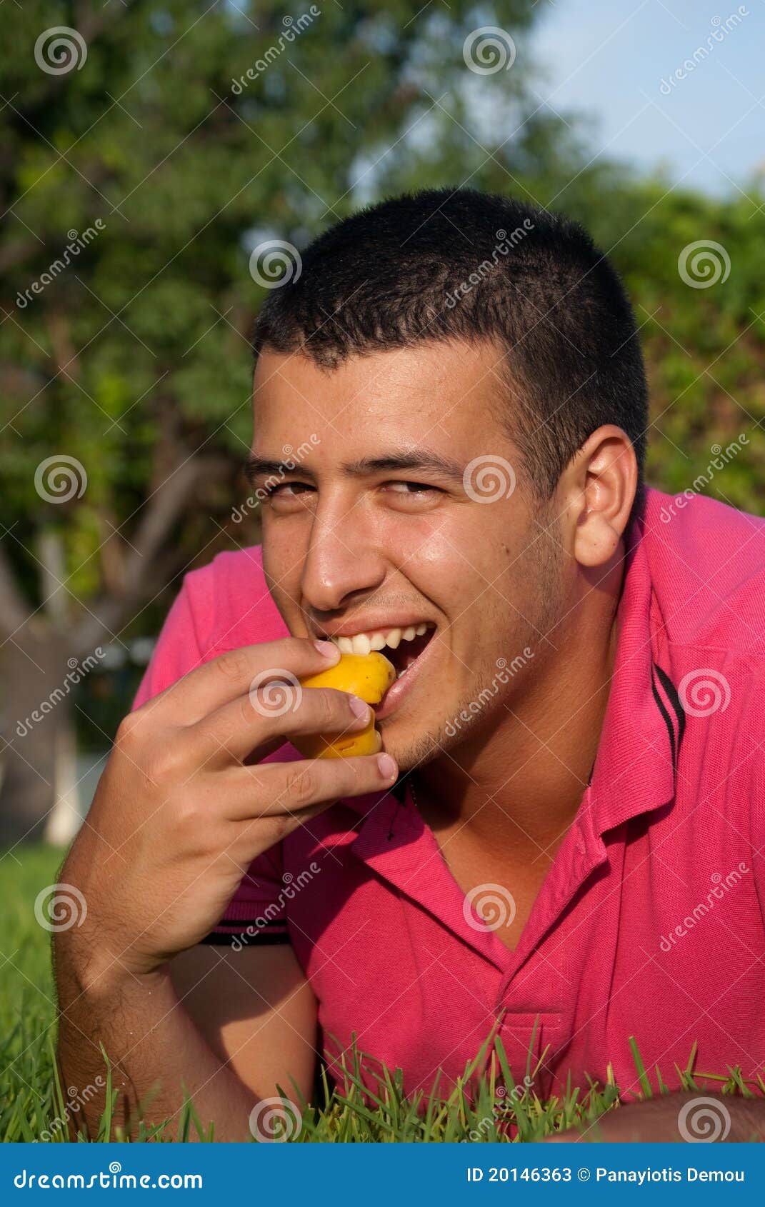 Eating in nature stock image. Image of food, style, relaxed - 20146363