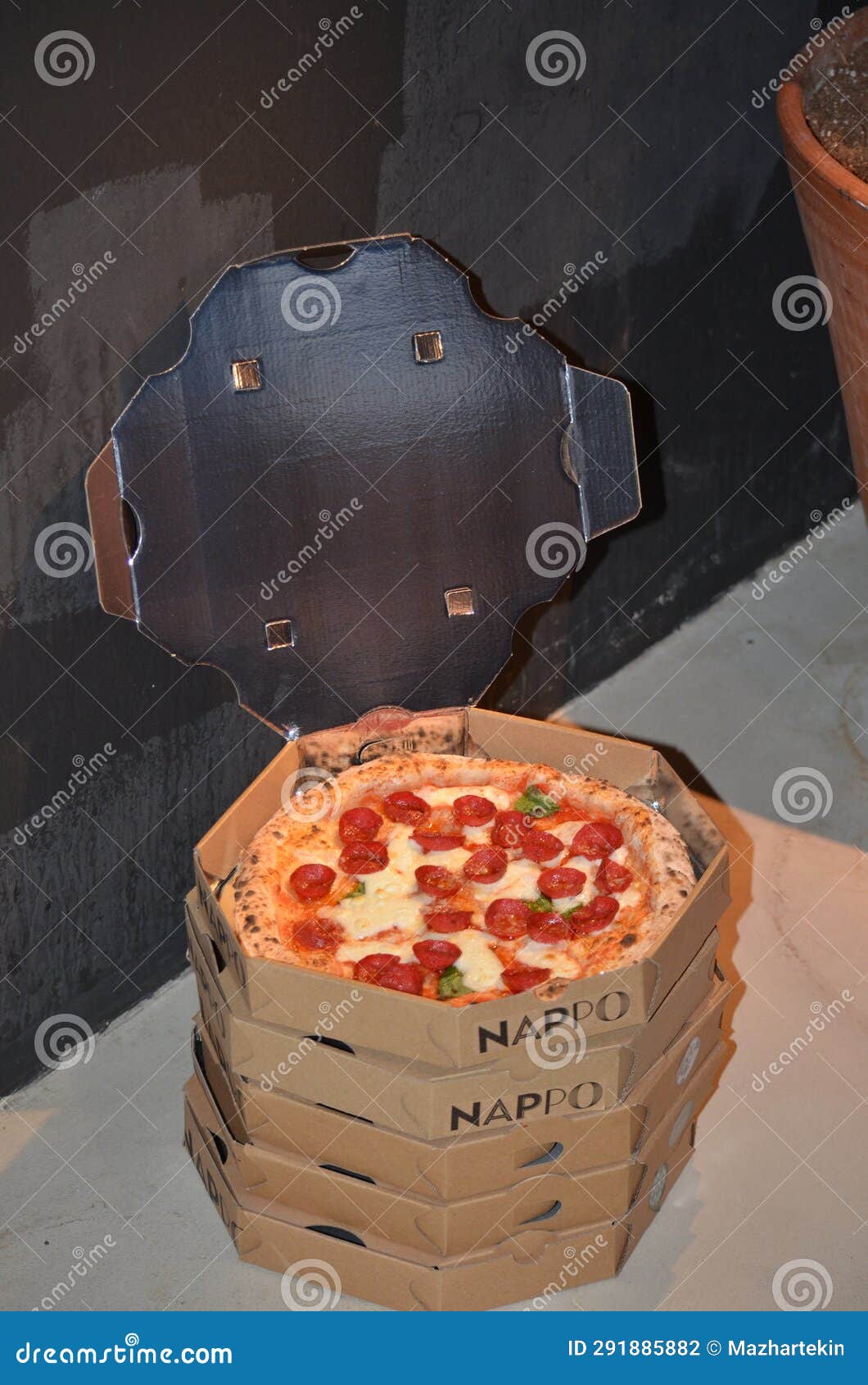 Eating Pizza is a Pleasure, Especially when it Comes with Vegetables ...