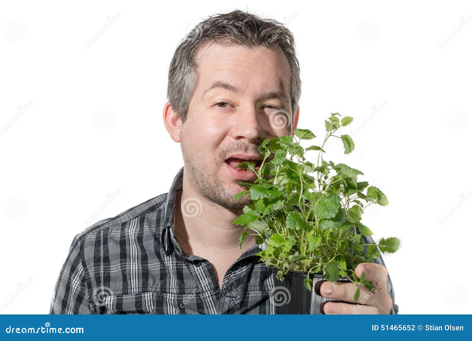 Eating plant stock photo. Image of holding, lifestyle - 51465652