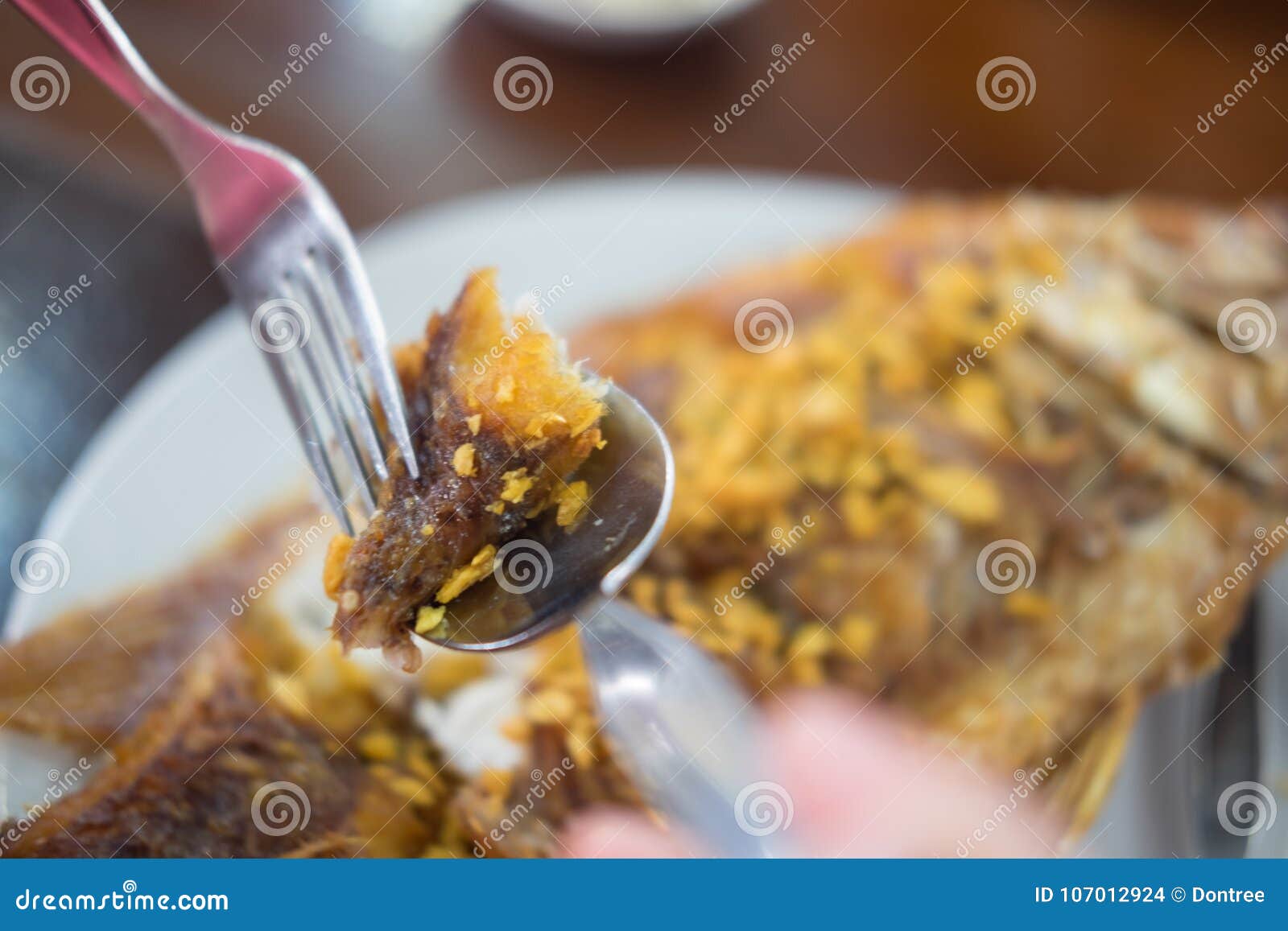 Eating Ruby Fish Fried stock photo. Image of south, traditional - 107012924