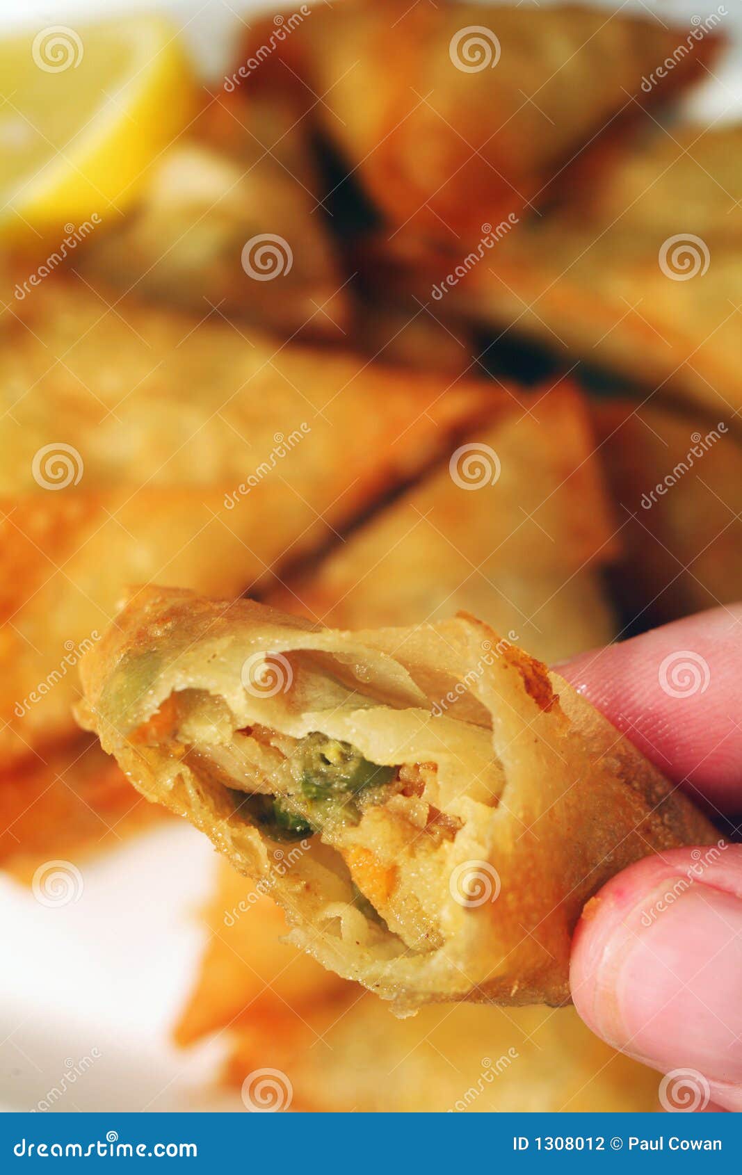 Eating a samosa stock photo. Image of eating, finger, cooking - 1308012