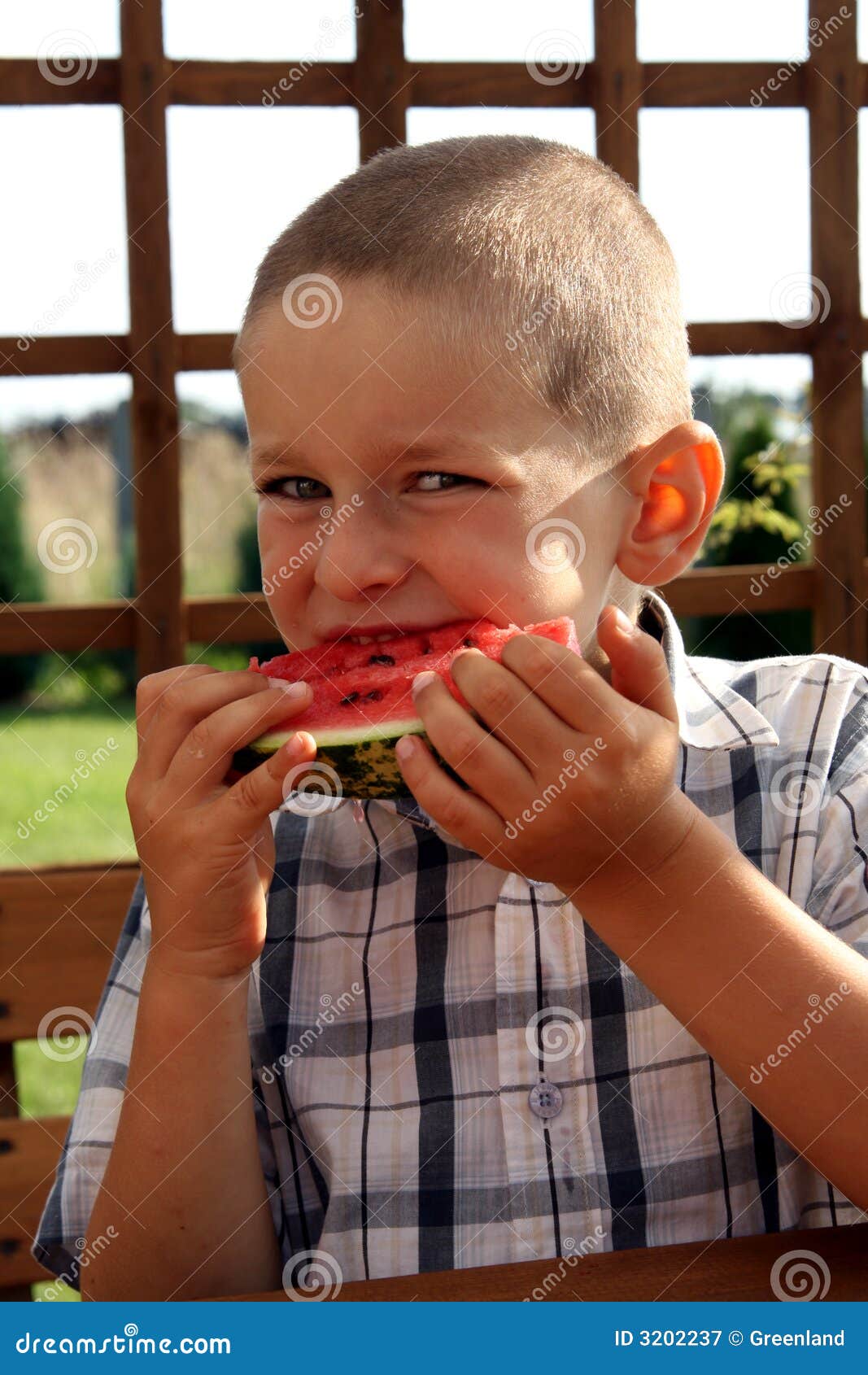 Eating watermelon stock image. Image of breakfast, cute - 3202237