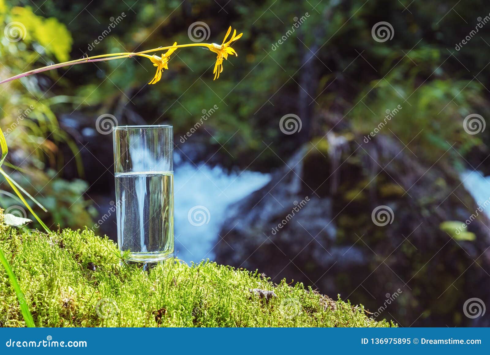 Eau De Source Propre Dans Un Verre Image stock - Image du course, beau ...