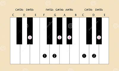 Eb Major Scale for Piano with Fingering Stock Vector - Illustration of ...