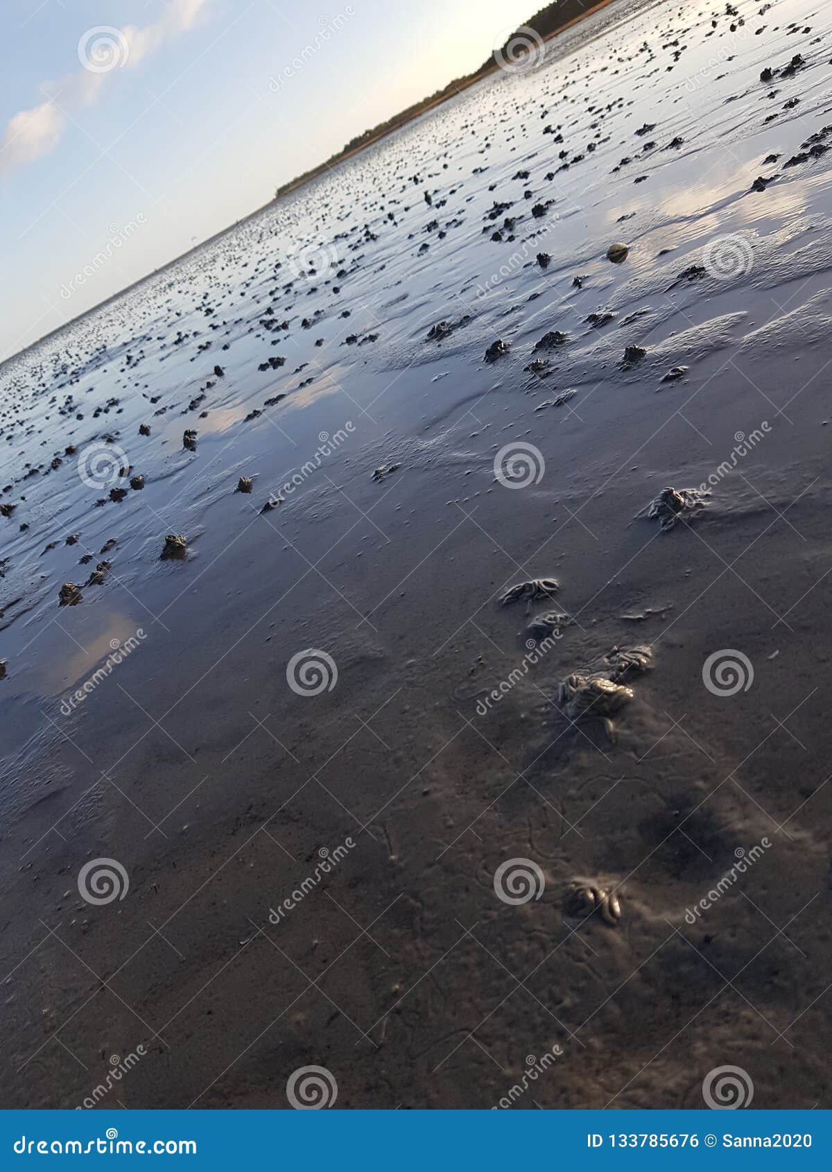 Ebb and Flow stock photo. Image of flow, water, sand - 133785676