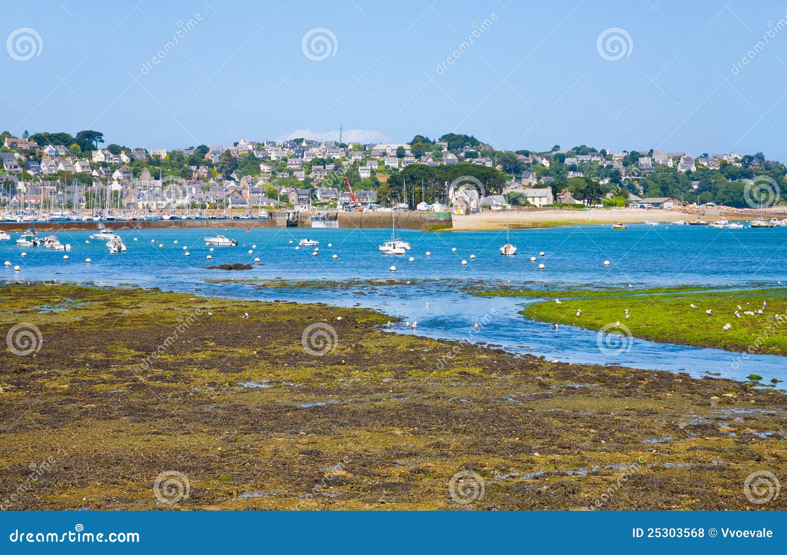 Ebb of Tide Water in Brittany Stock Photo - Image of channel, english ...