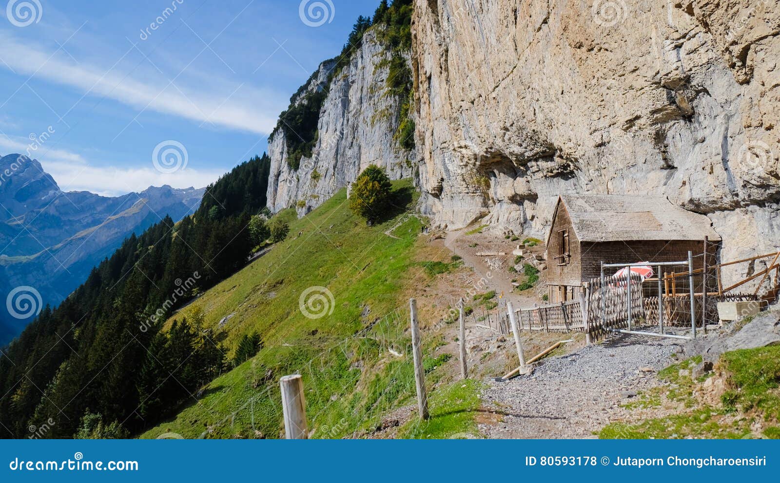 EBENALP, SWITZERLAND editorial stock photo. Image of tree - 80593178