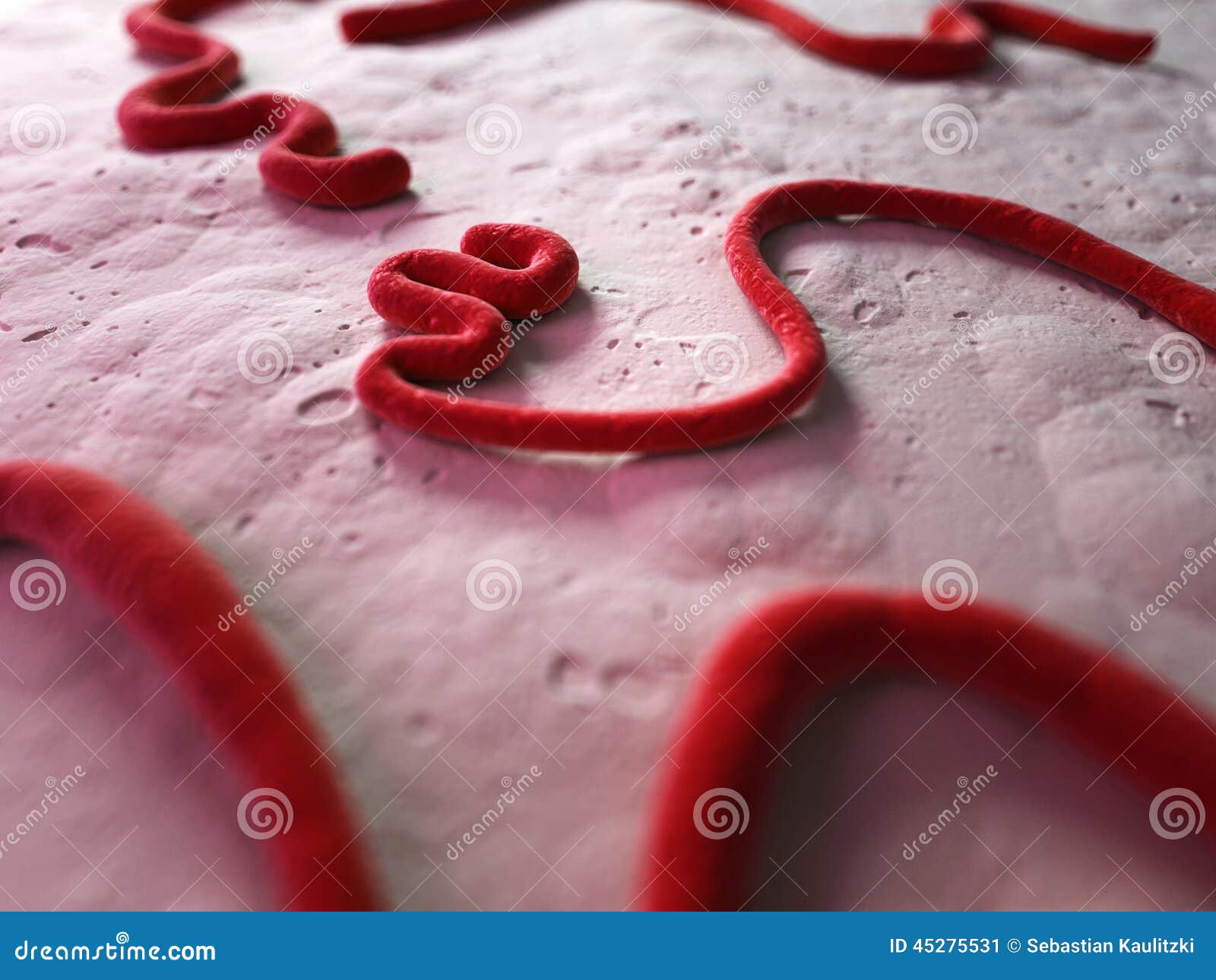 The ebola virus stock illustration. Illustration of microbe - 45275531