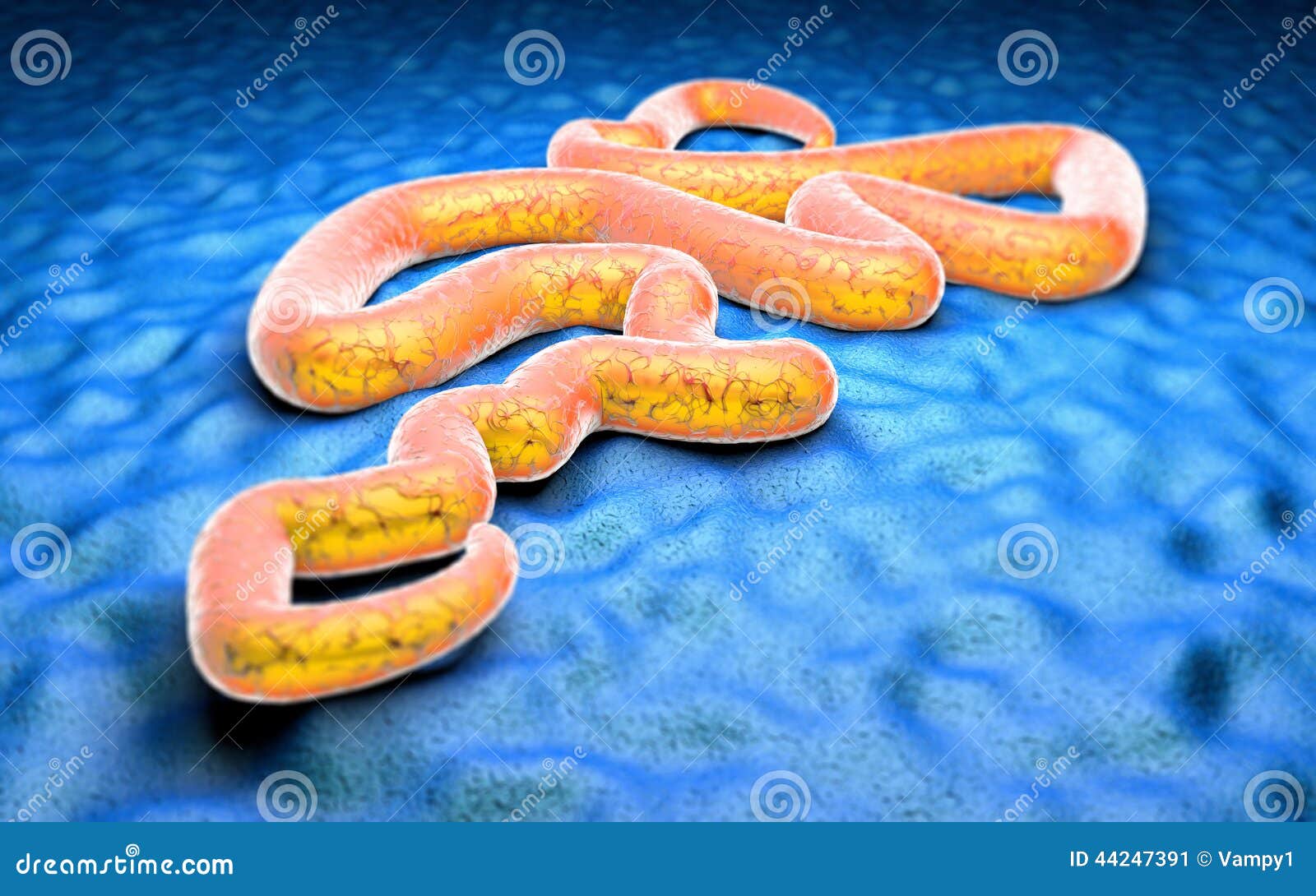 Ebolavirus Onder Een Microscoop Stock Illustratie - Illustration of ...