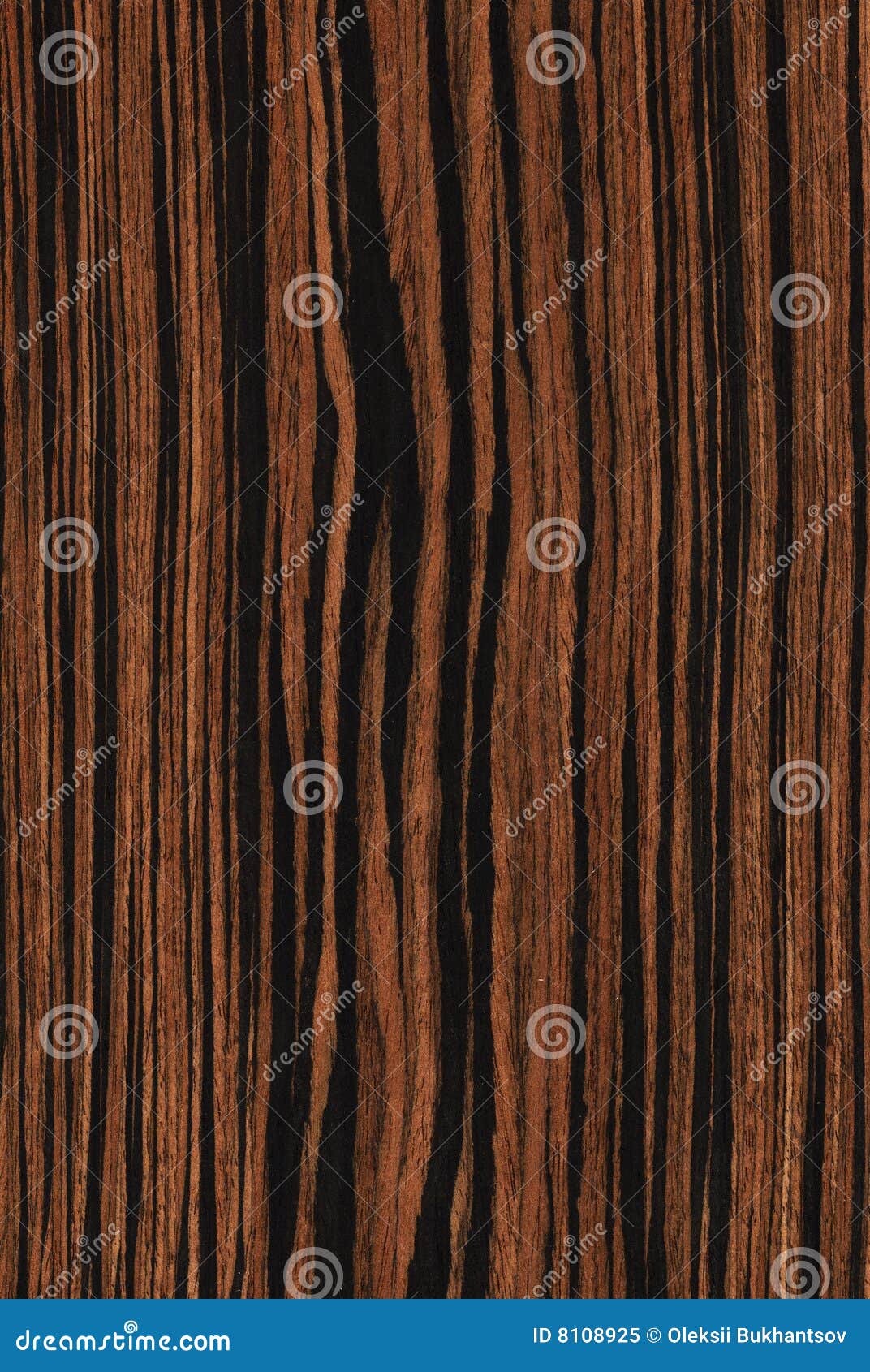 Ebony (wood texture) stock image. Image of grain, macro - 8108925