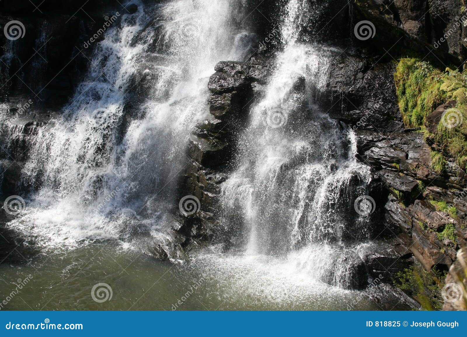 Ebor Falls, Australia stock image. Image of fall, crashing - 818825
