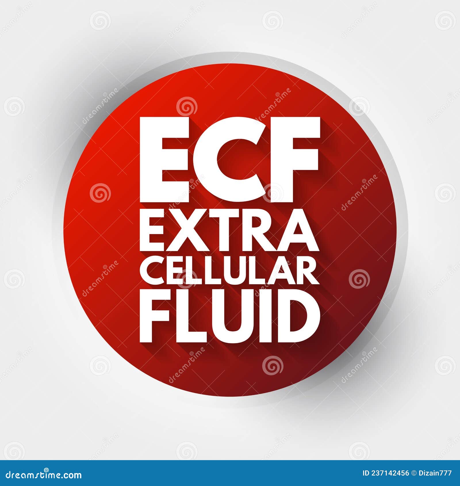 ECF - Extracellular Fluid Acronym, Medical Concept Background Stock ...