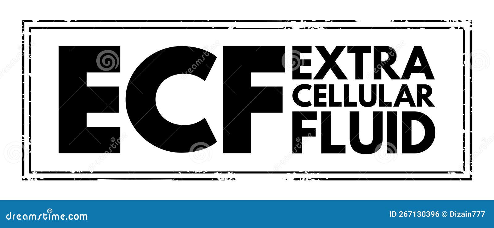 Ecf Extracellular Fluid Body Fluid That Is Not Contained In Cells Acronym Text Concept Stamp