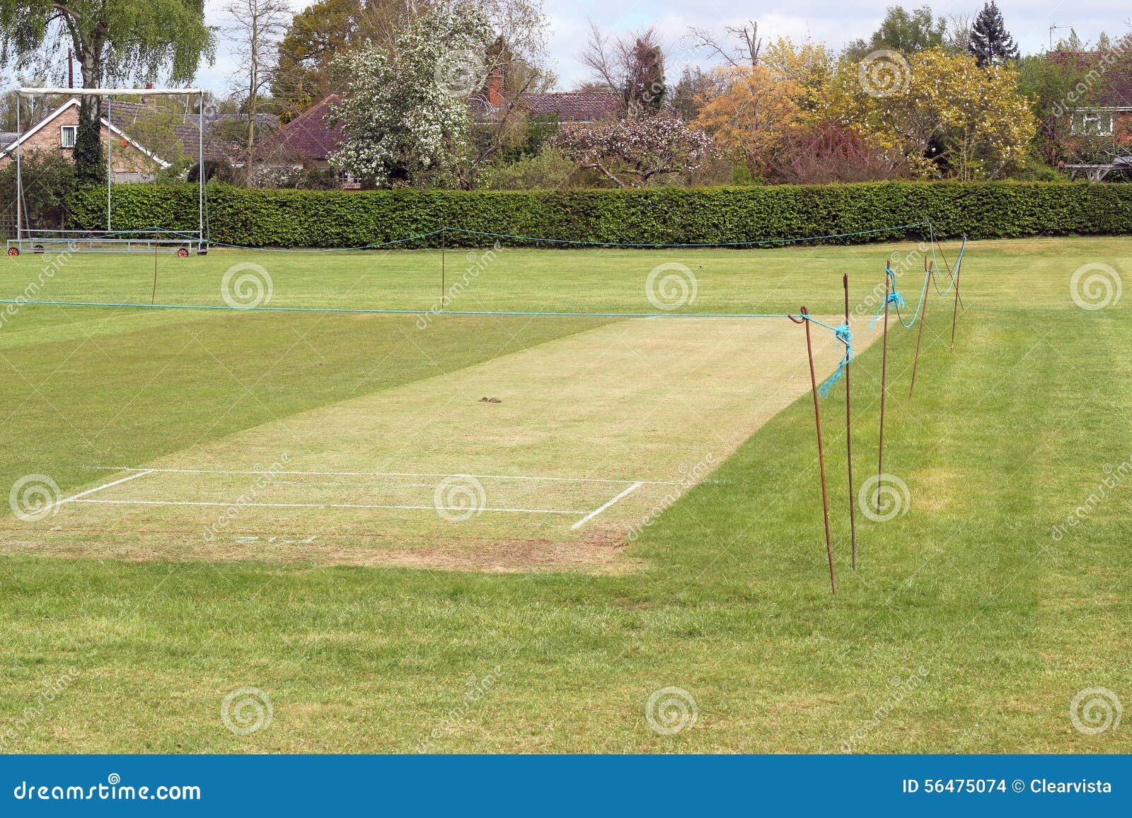 Echada segada del grillo foto de archivo. Imagen de corte - 56475074