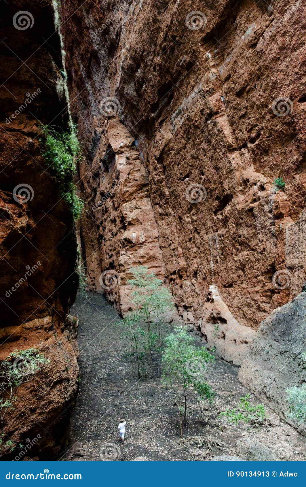 Echidna Chasm - Purnululu NP - Australia Stock Image - Image of ...