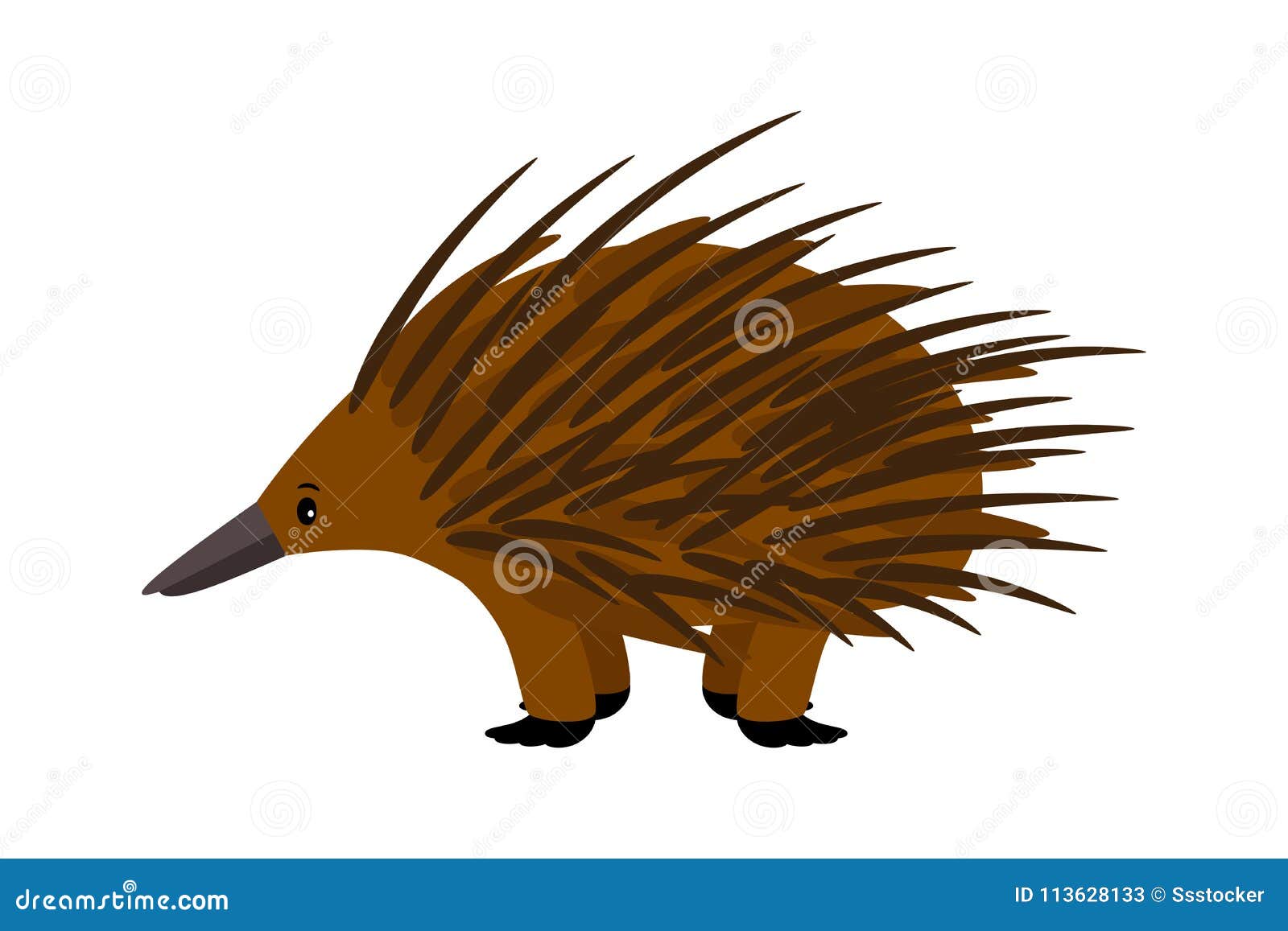 Echidna White Silhouette Of An Australian Animal Cartoon Vector ...