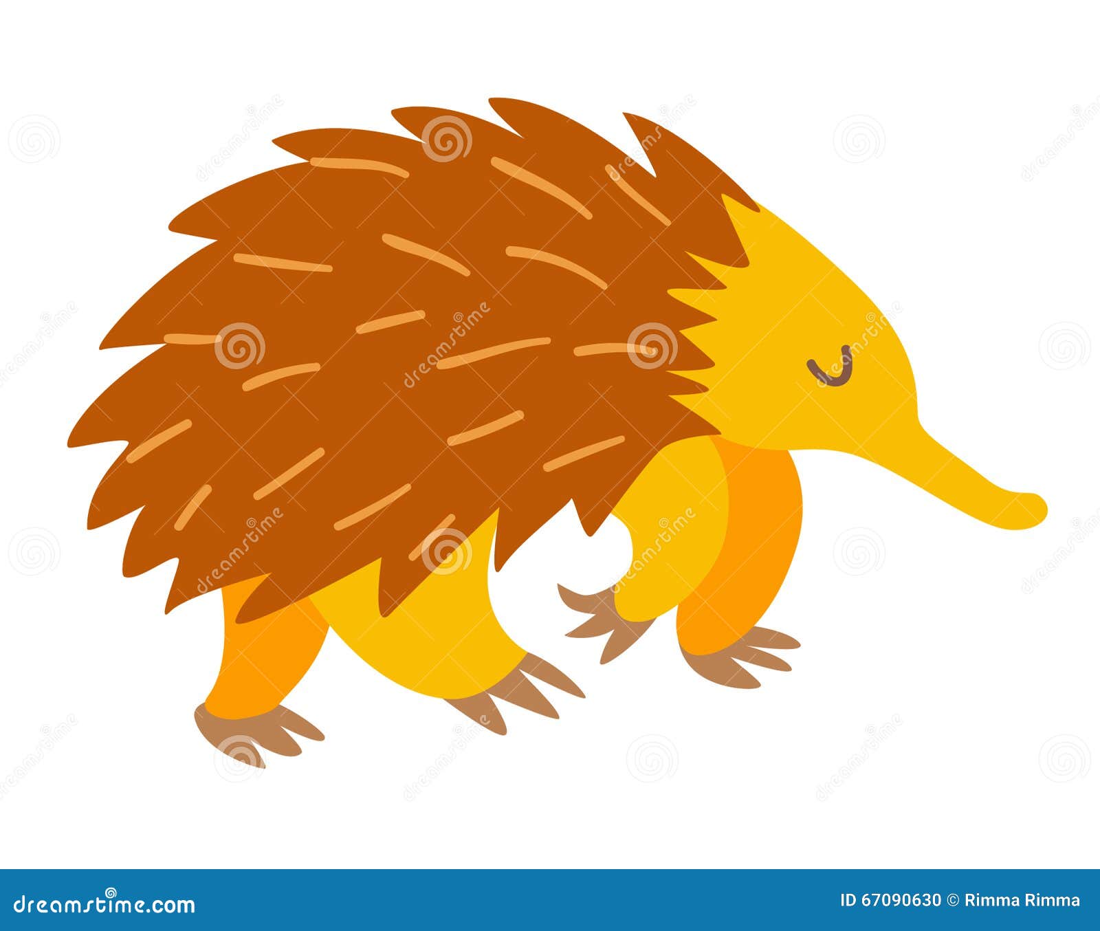 Echidna. Flat Cartoon Vector Illustration | CartoonDealer.com #67090630