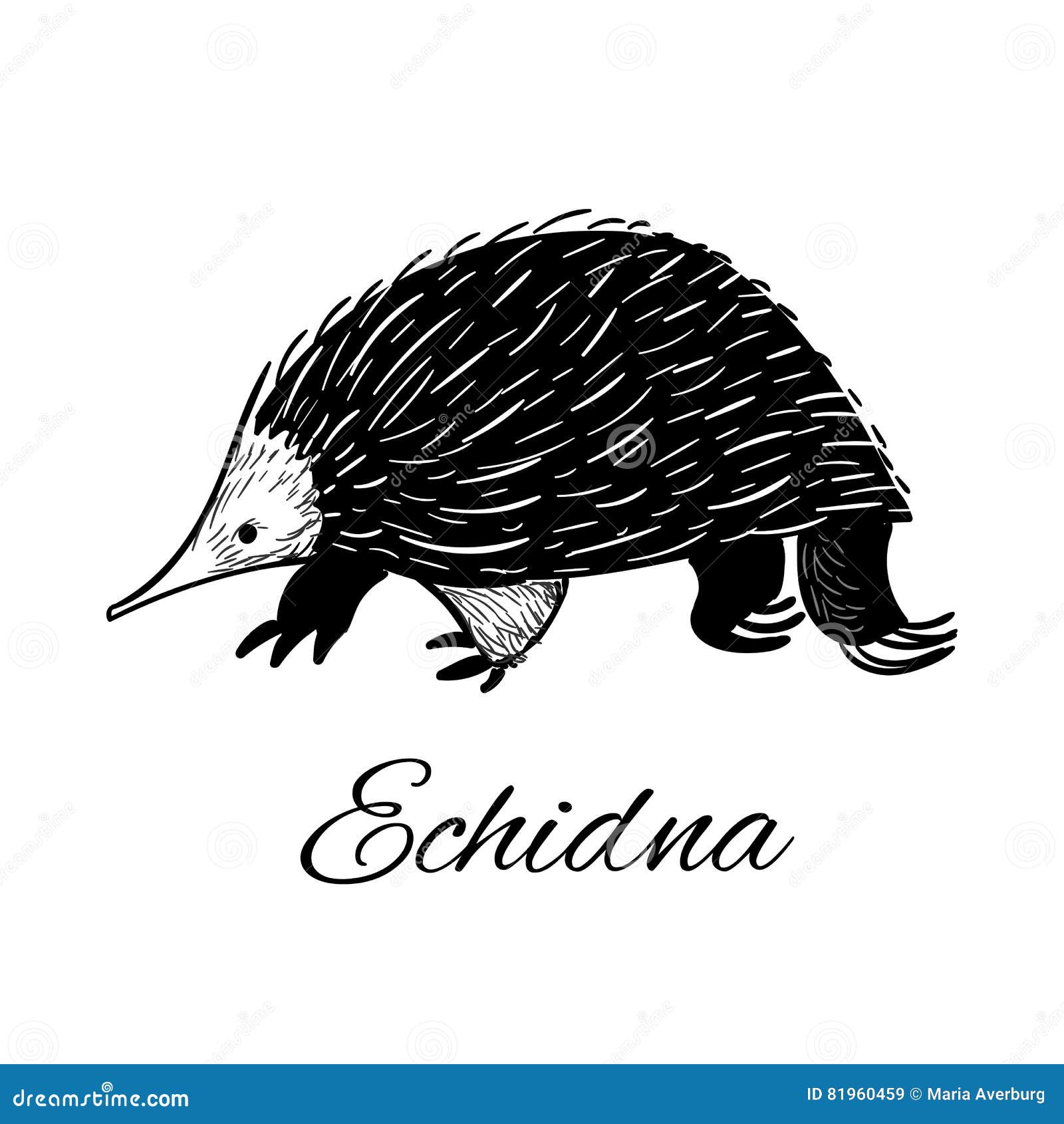 Echidna Icon. Detailed Set Of Australian Animal Silhouette Icons ...