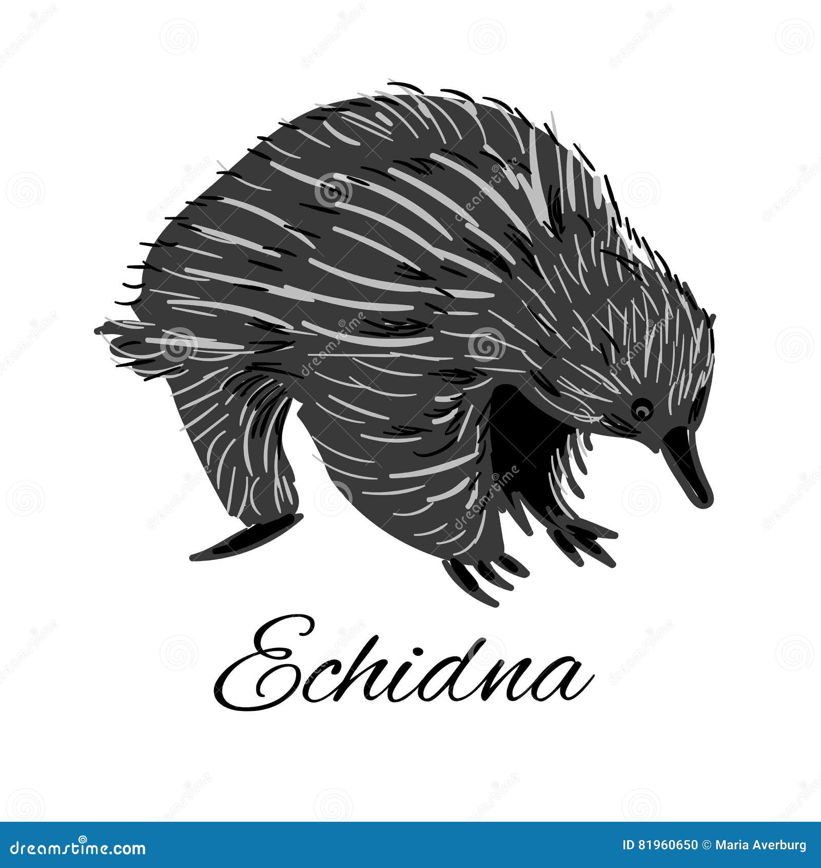Echidna Icon. Trendy Echidna Logo Concept On White Background Fr Cartoon Vector | CartoonDealer ...