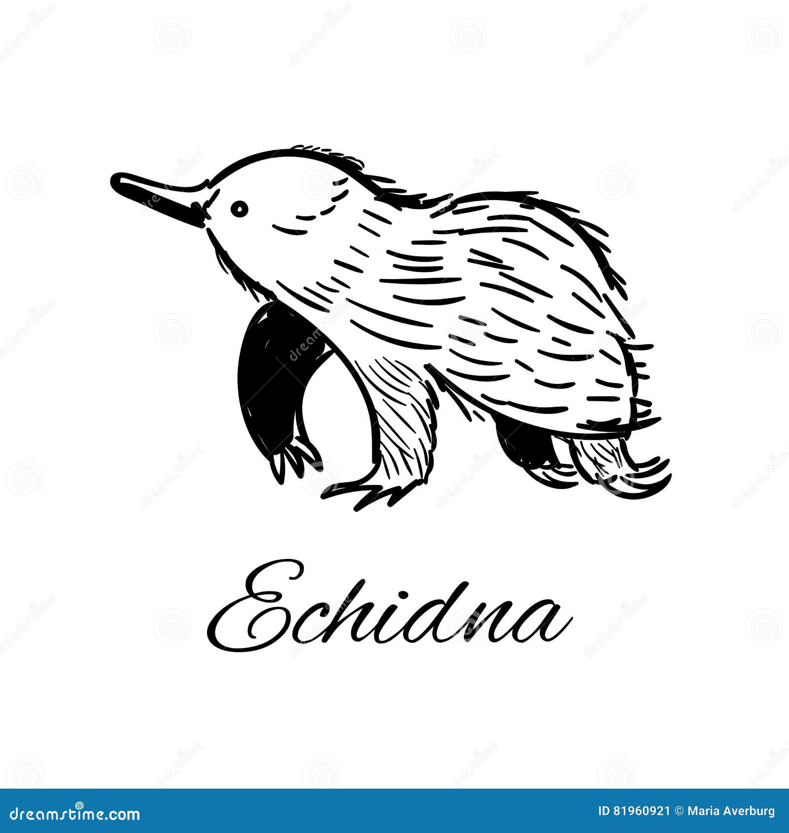 Echidna Icon in Doodle Style. Logotype for Business. Vector ...