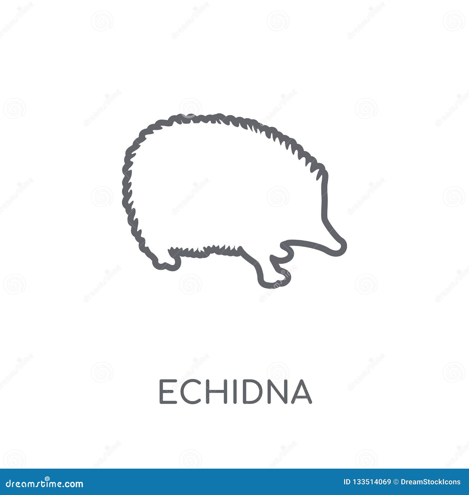 Echidna Linear Icon. Modern Outline Echidna Logo Concept on Whit Stock ...
