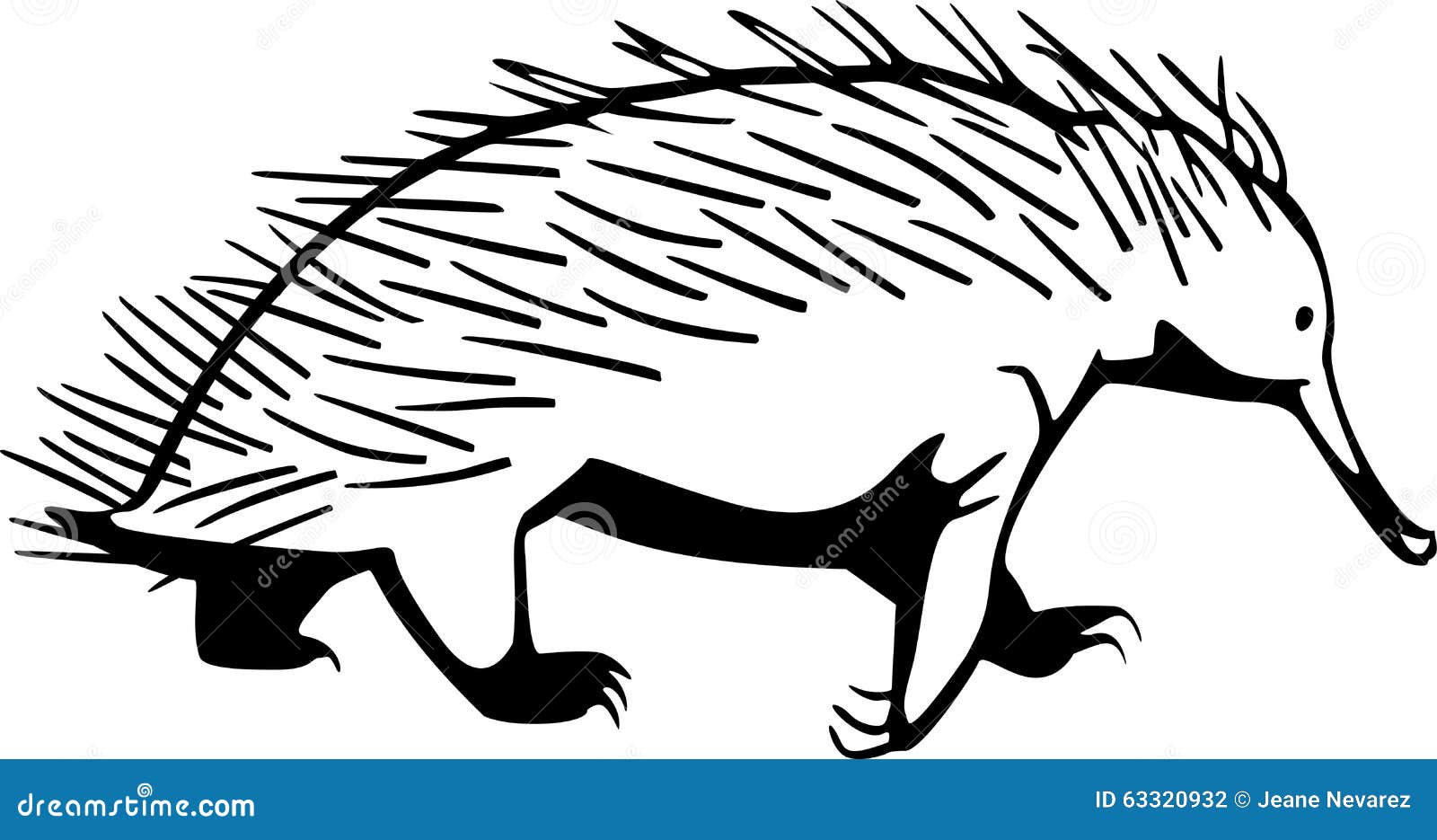 Echidna Or Spiny Anteater Side View Continuous Line Drawing Vector ...