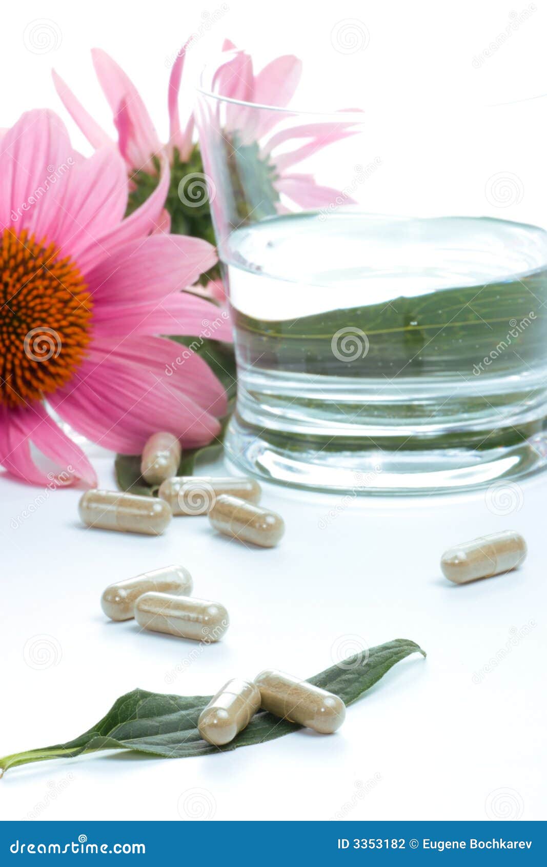 Echinacea capsules stock photo. Image of homeopathic, medication - 3353182