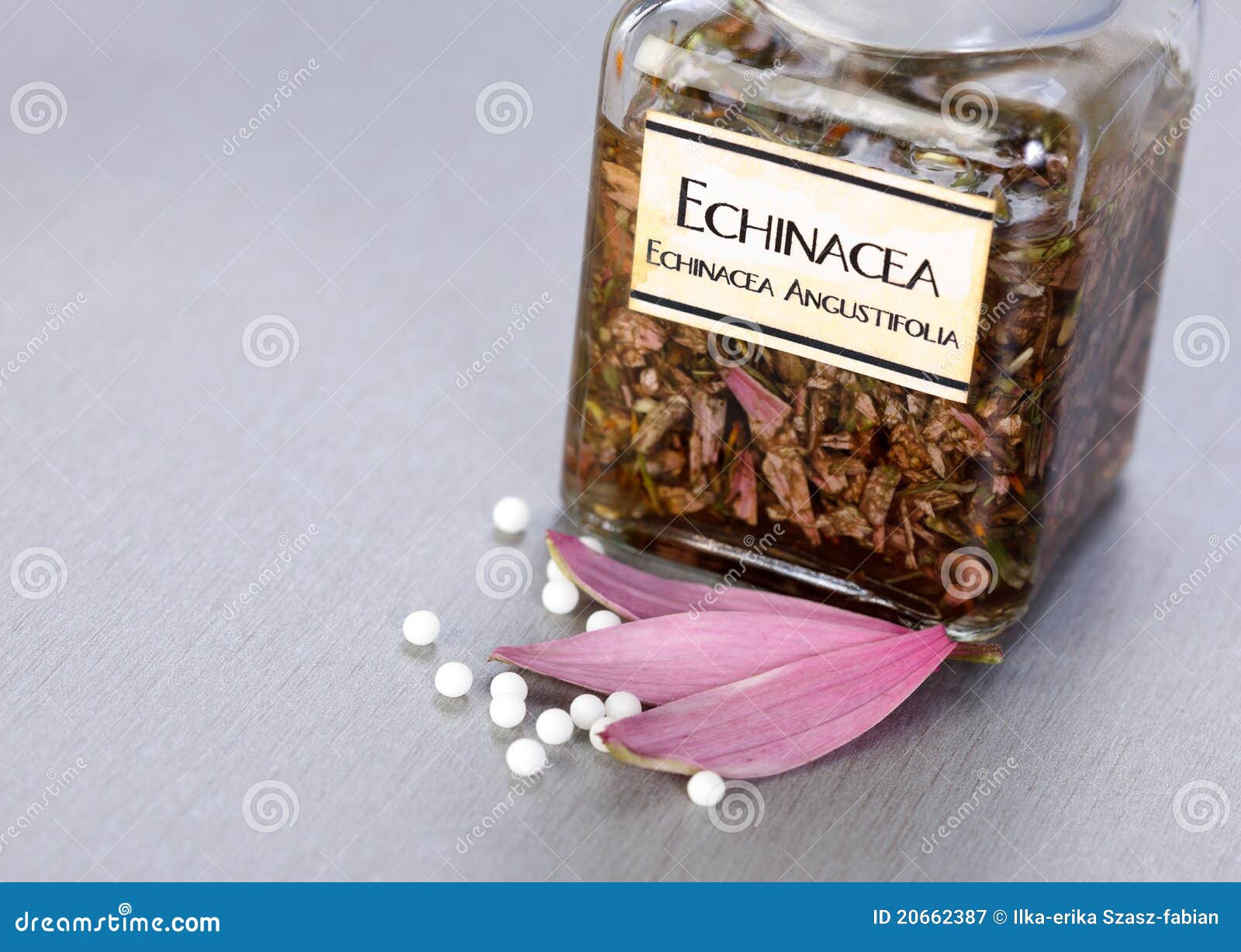 Echinacea Officinalis Plant Extract Stock Image - Image of ethyl ...