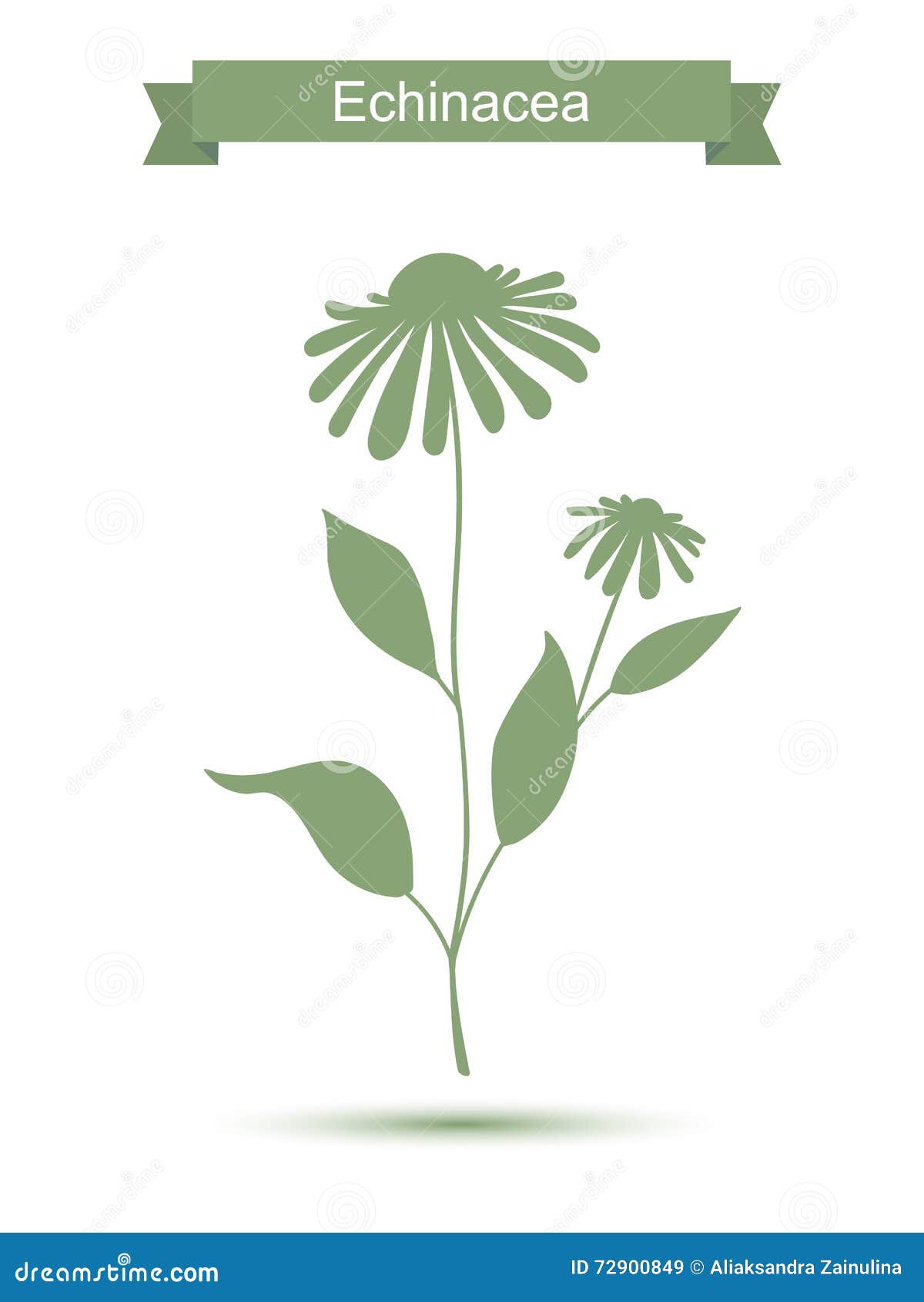 Echinacea Silhouette Vector Flat Simple Identification Symbol Clipart ...