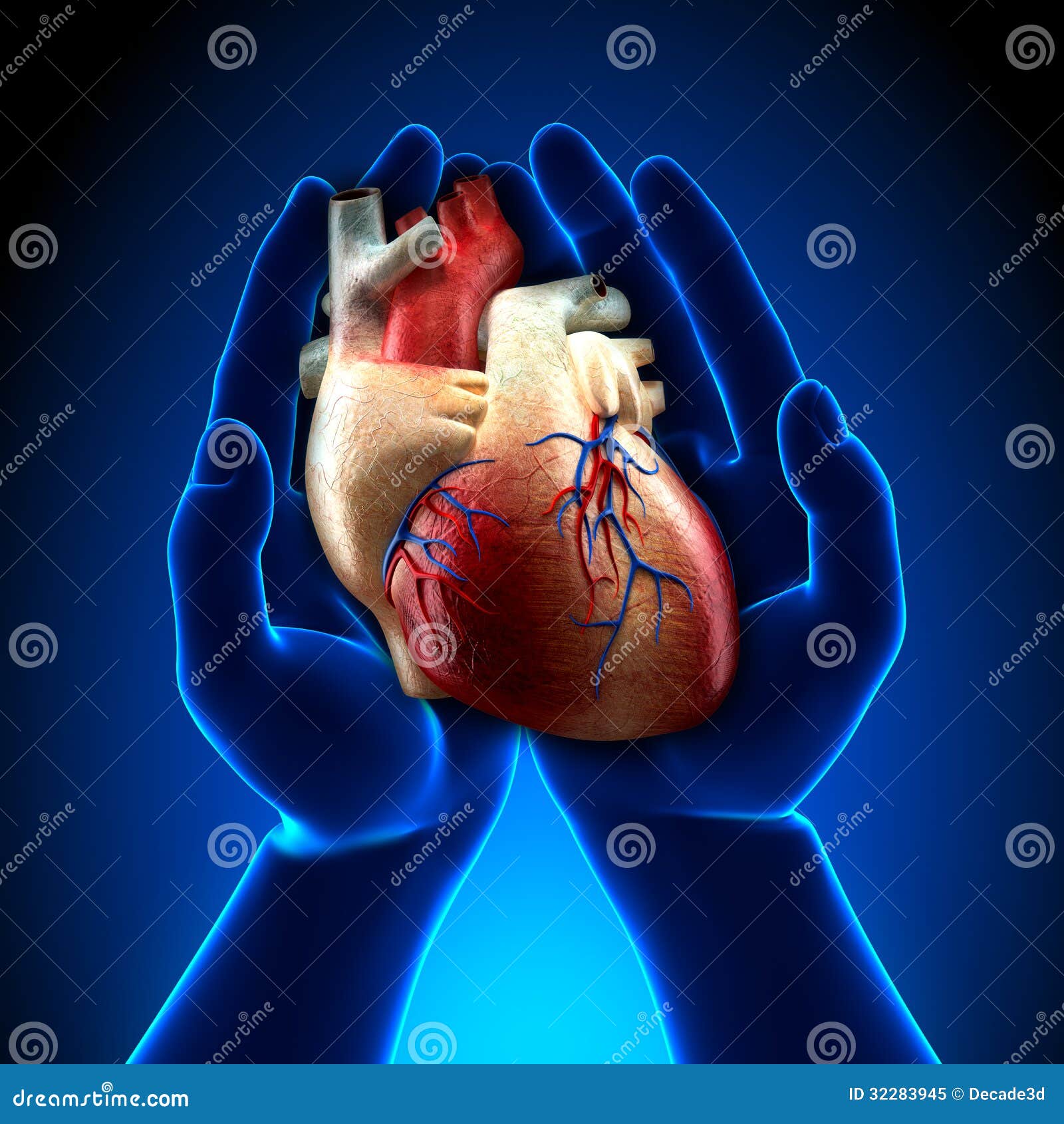 Echt Hart in Handen stock illustratie. Illustration of hart - 32283945