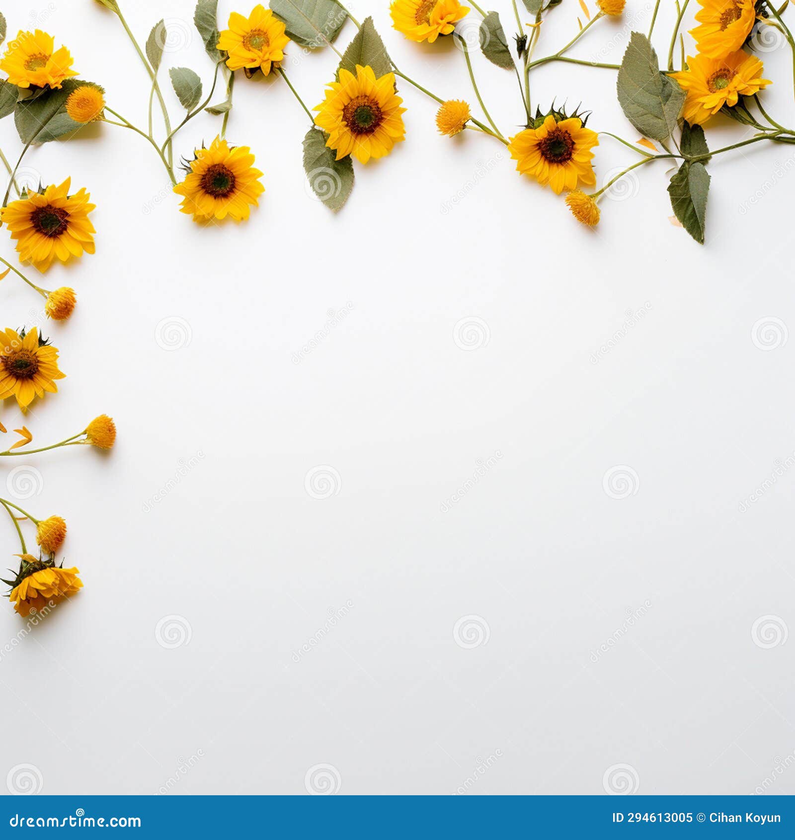 Eclectic sunflower border stock illustration. Illustration of seamless ...