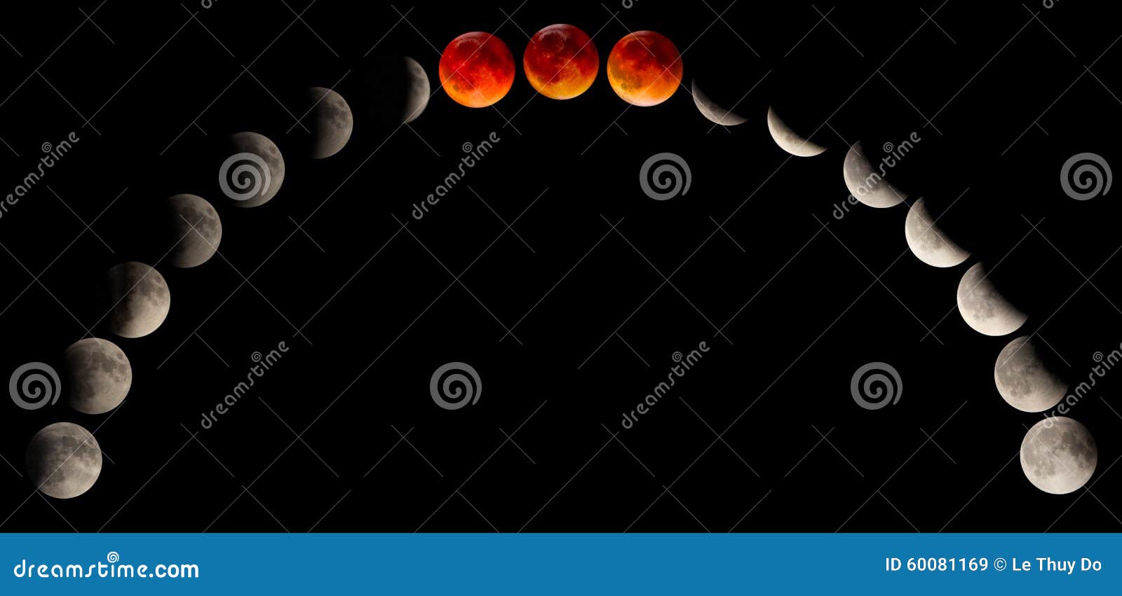 Blood Moon Sunset Sea Ship On Horizon Line Bird Fly On Night Cloud ...