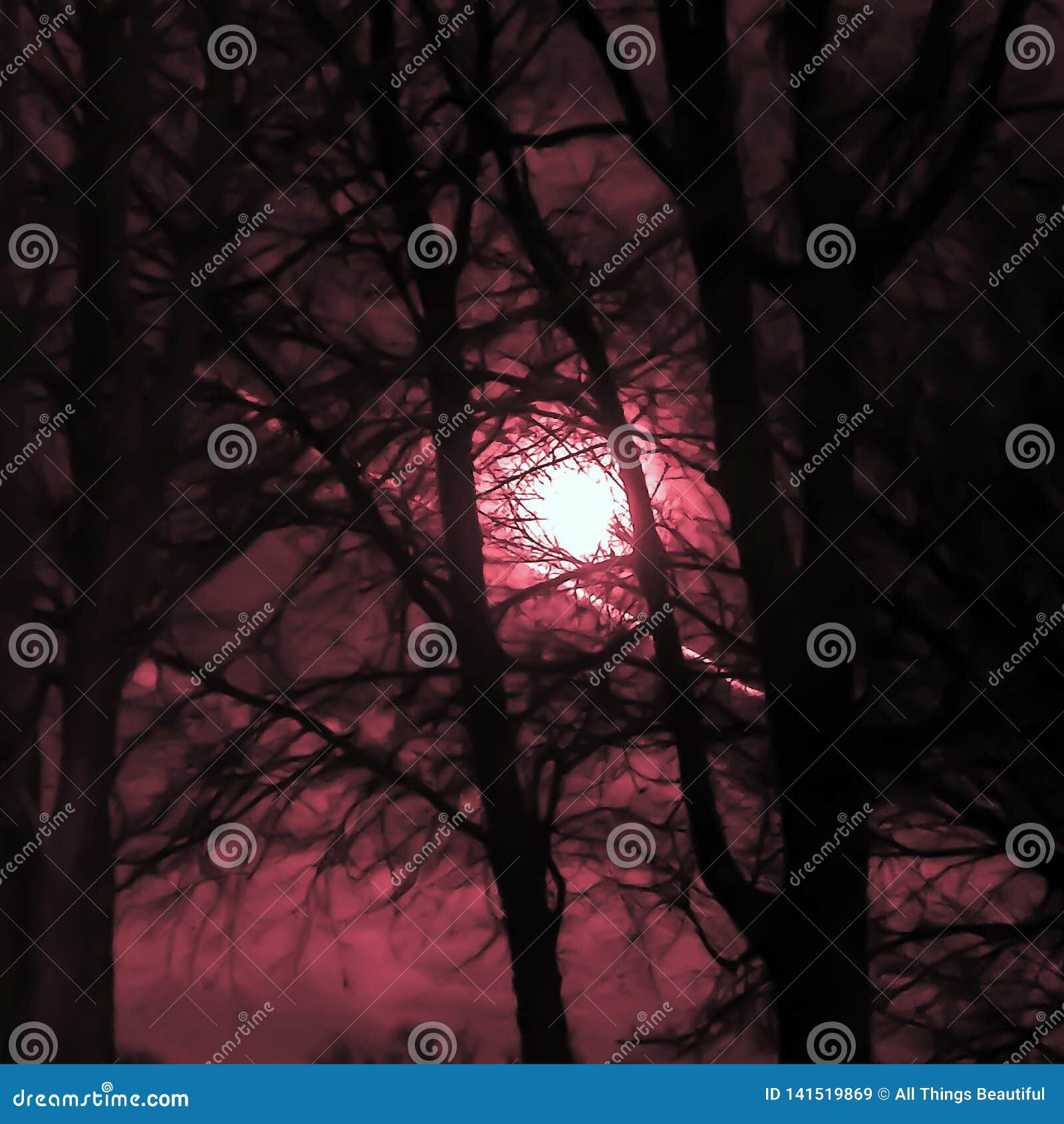 Eclipse Moon going up stock image. Image of autumn, trees - 141519869