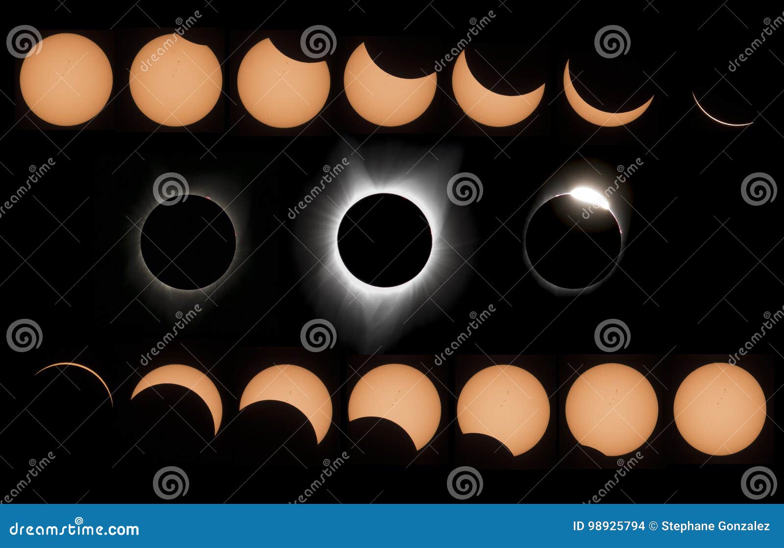 Eclipse of the sun stock photo. Image of nature, butterfly - 98925794