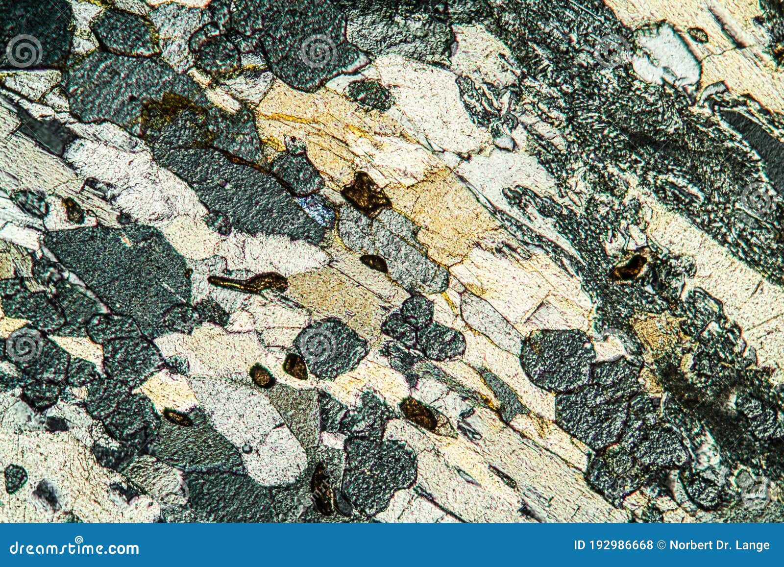 Eclogite Rock Under the Microscope Stock Photo - Image of metamorphic ...
