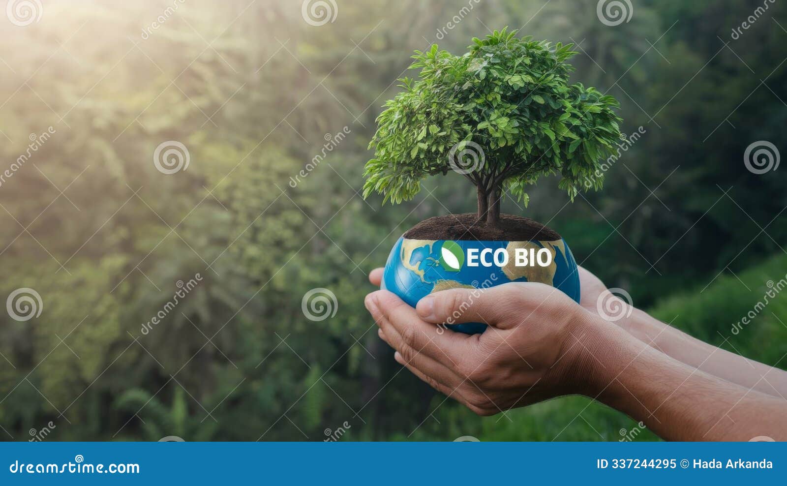 Eco Bio Globe with Earth in Hands and Tree Growing on Soil for World ...