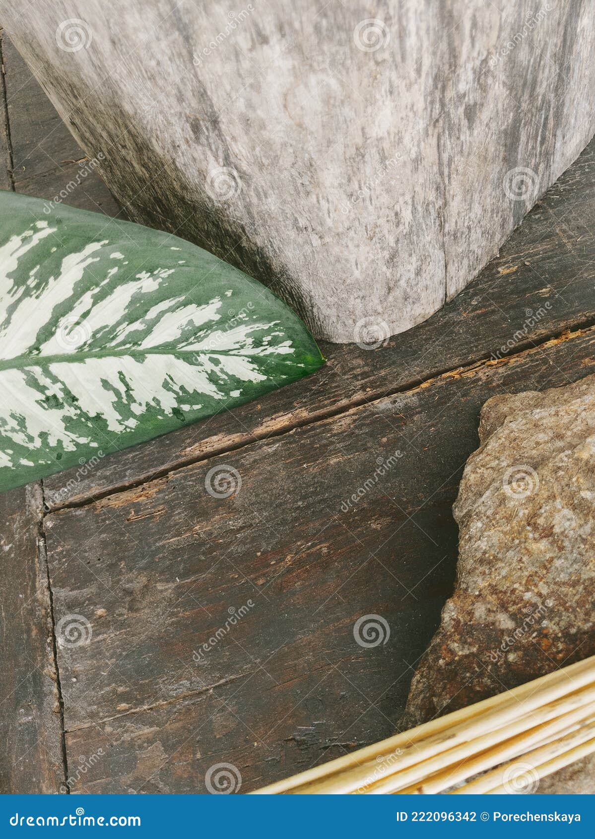 Eco Bio Wallpaper Leaves and Tree Texture. Nature Lover Concept Stock ...