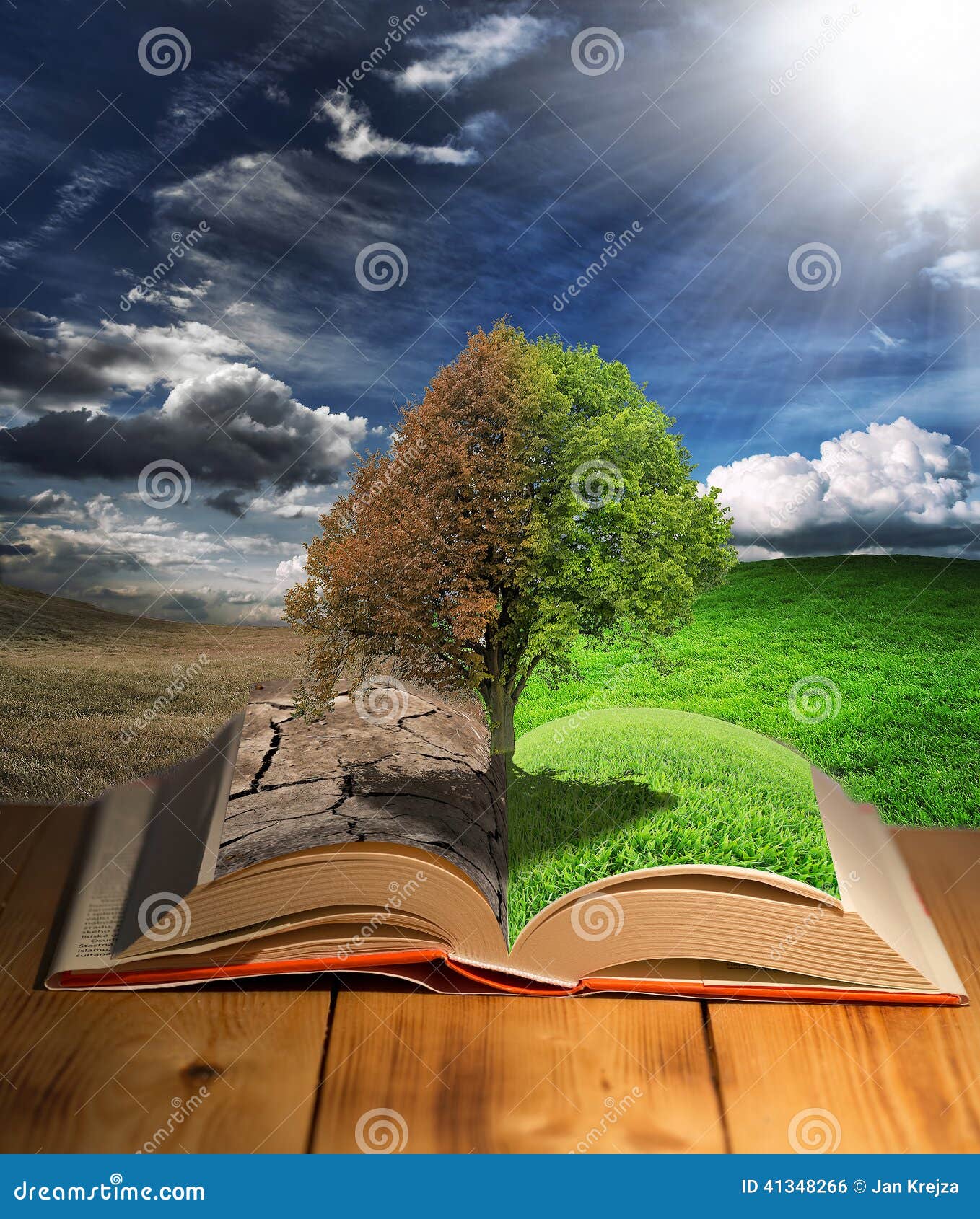 Eco book stock photo. Image of cover, school, plant, read - 41348266