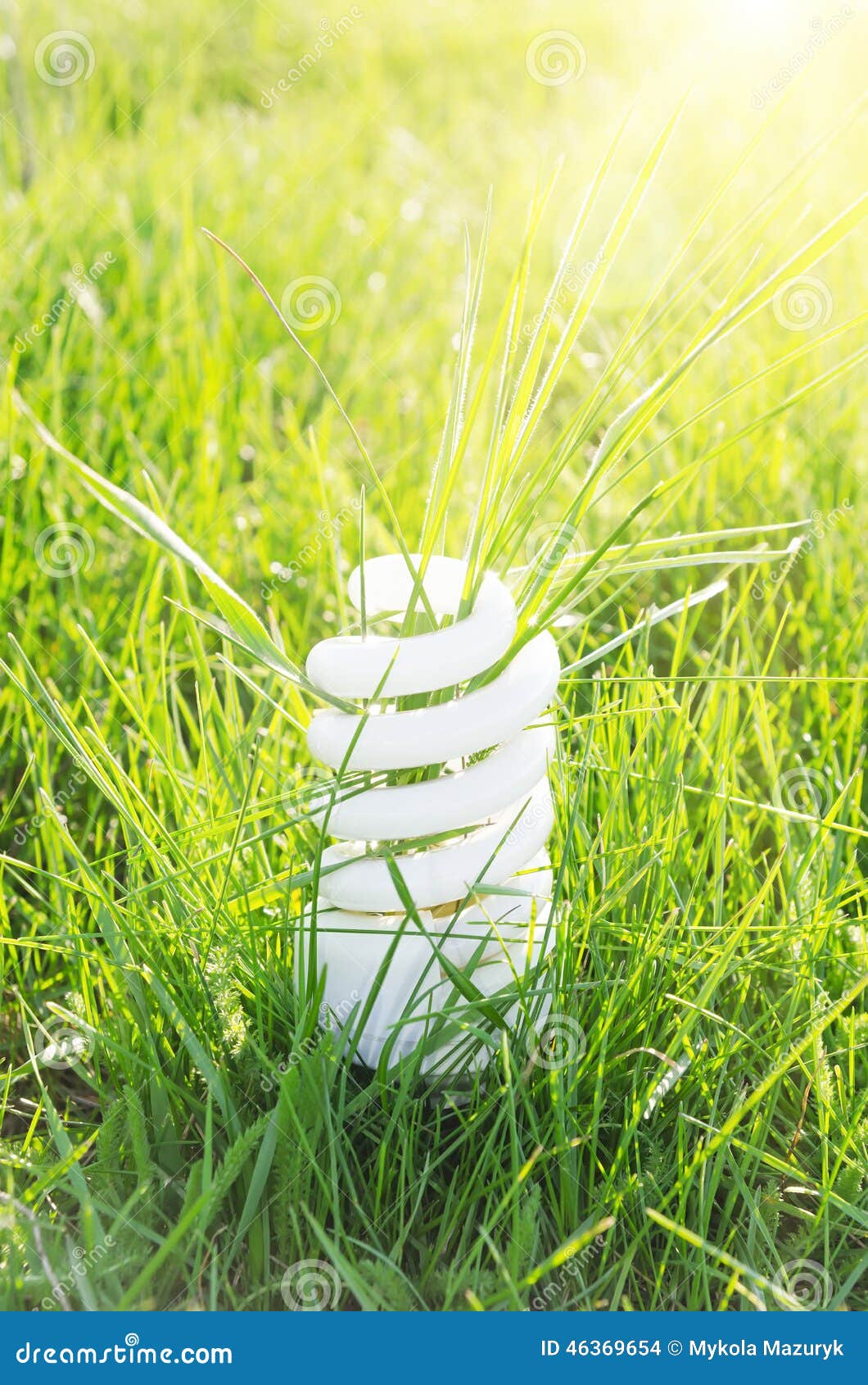 Eco bulb on green grass stock photo. Image of efficient - 46369654