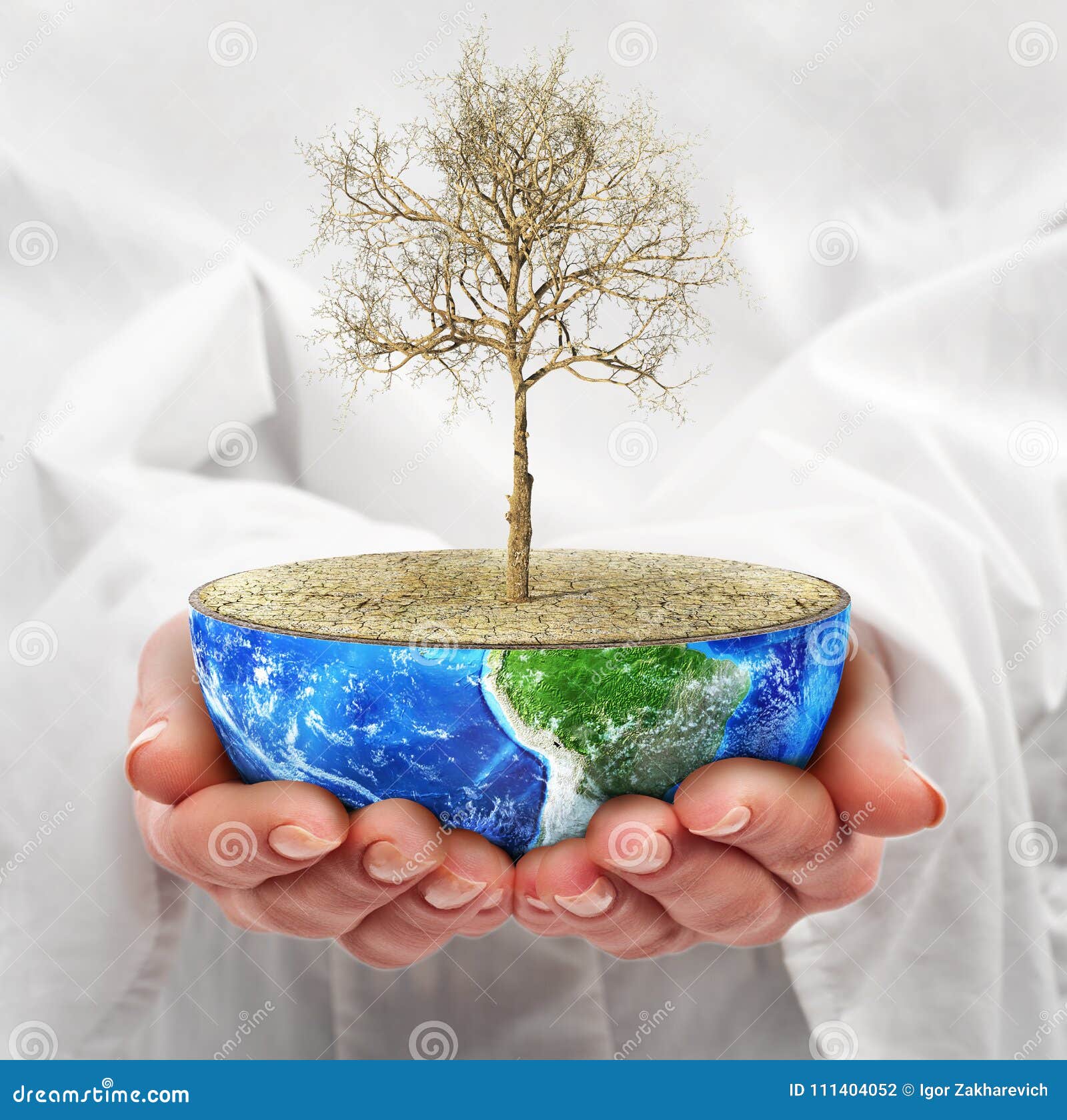 Eco Concept. Hands Hold a Half Planet with Dead Tree Stock Photo ...