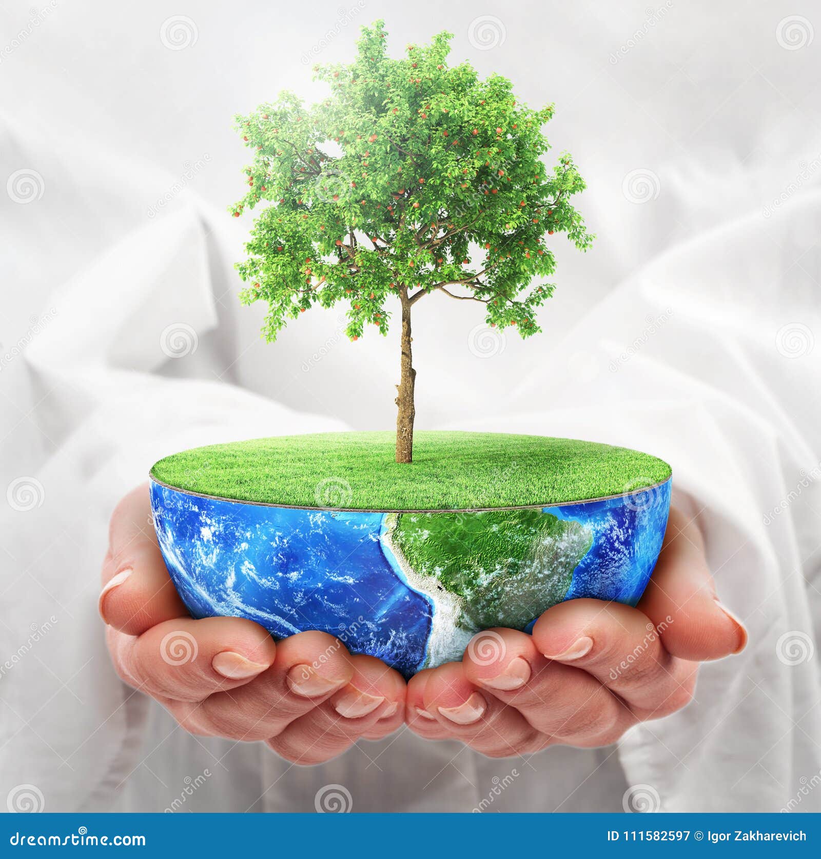 Eco Concept. Hands Hold a Half Planet with Tree Stock Image - Image of ...