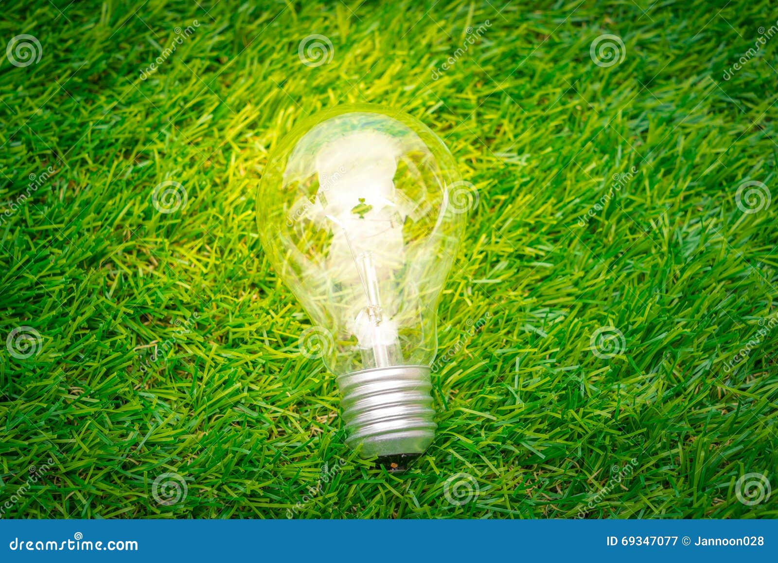 .Eco Concept - Light Bulb Grow in the Grass Stock Image - Image of ...
