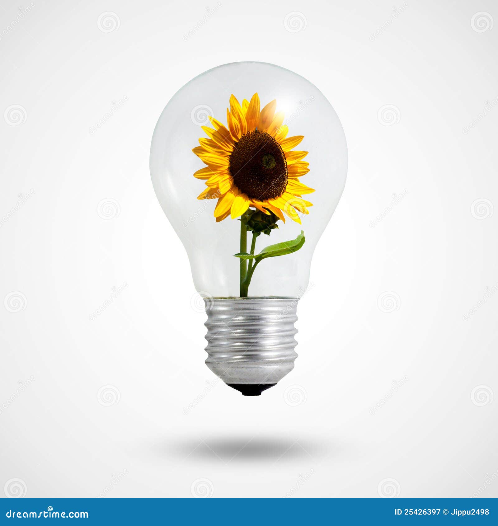 Eco Concept: Light Bulbs with Sunflower Inside Stock Image - Image of ...