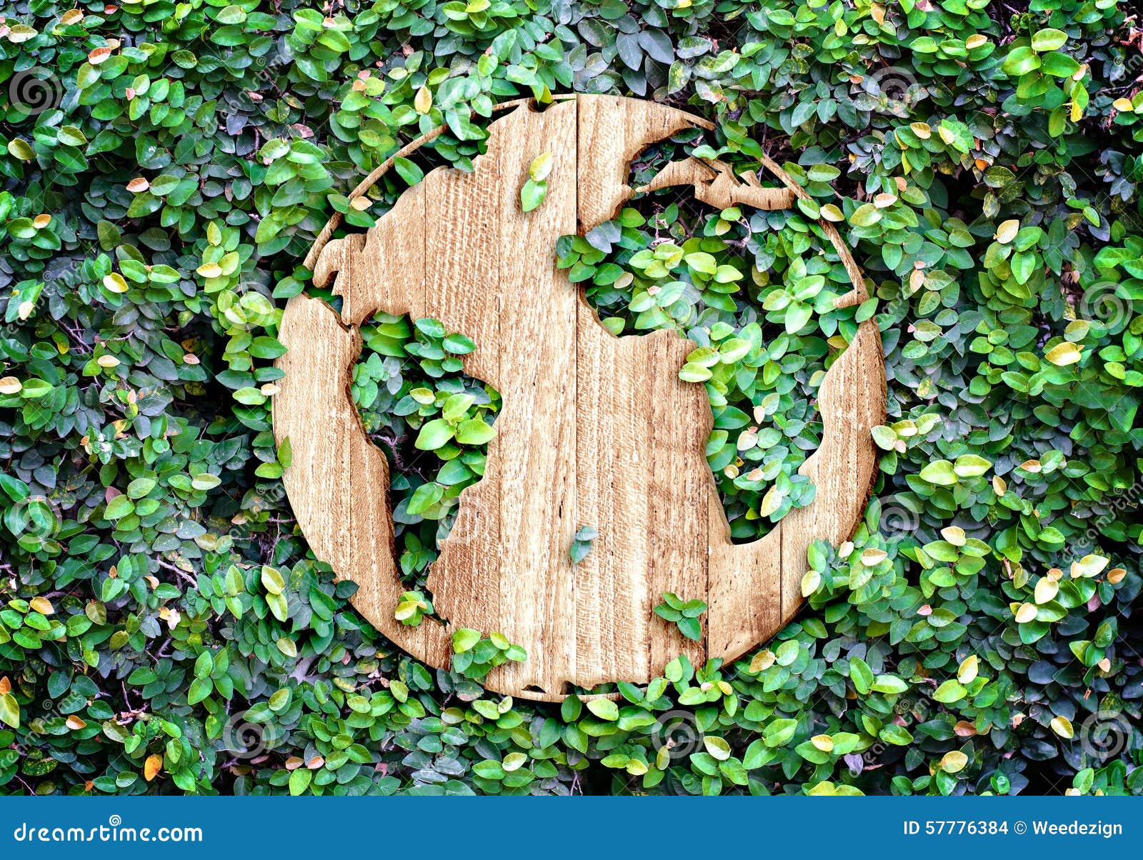 Eco Concept :Wood Texture World Icon on Green Leaves Wall Stock Photo ...