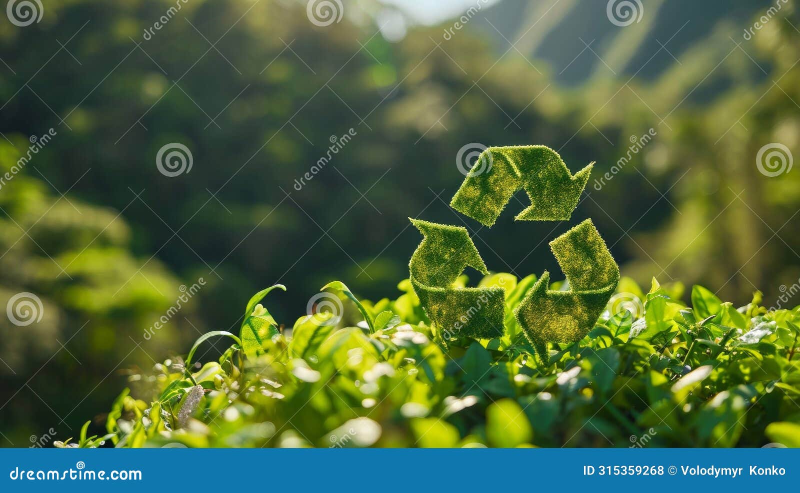 Eco Cycle - Green Recycling Symbol in Lush Forest Stock Photo - Image ...