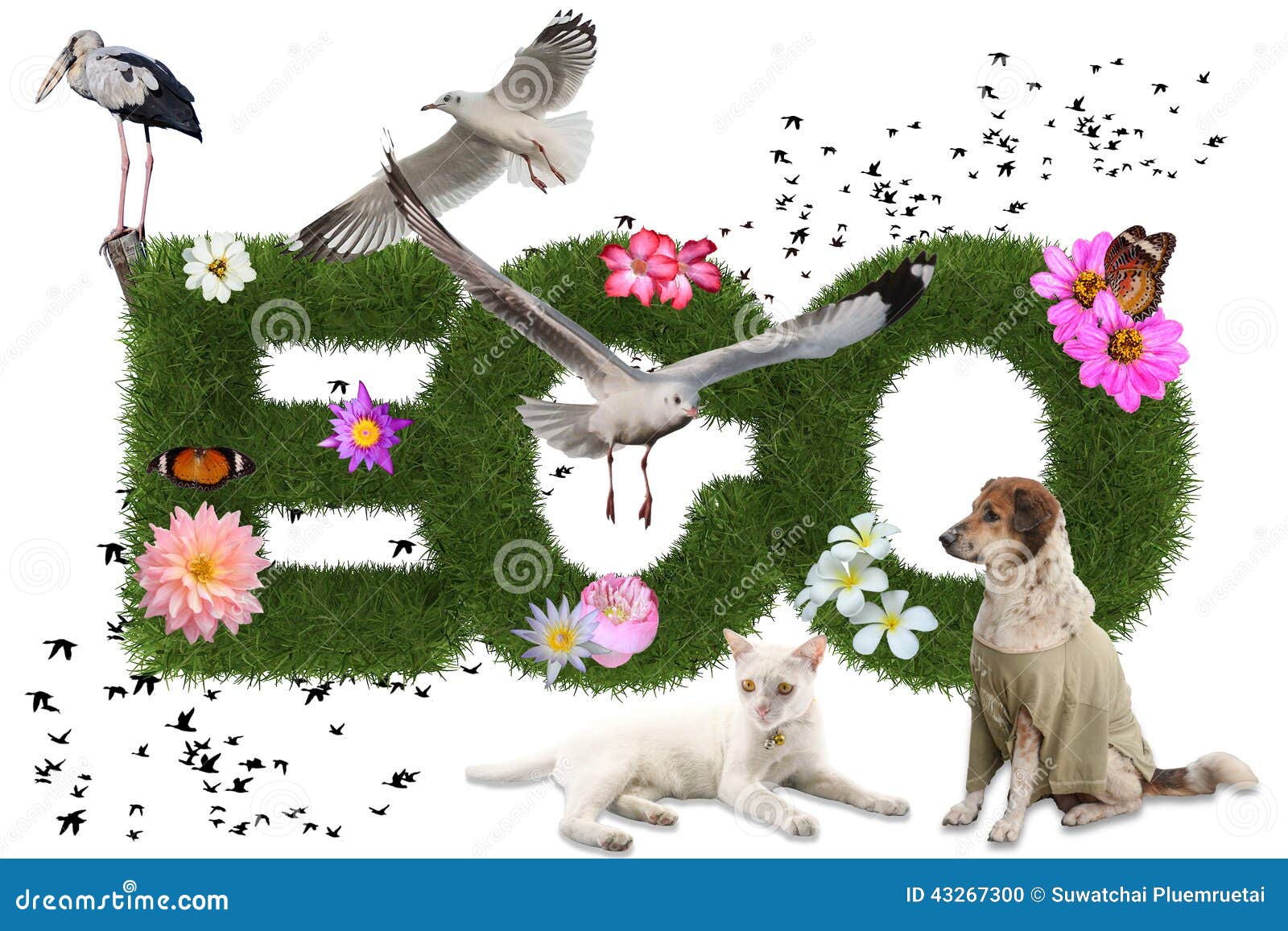 Eco 3d Word with Animal ,eco Concept Stock Photo - Image of health ...