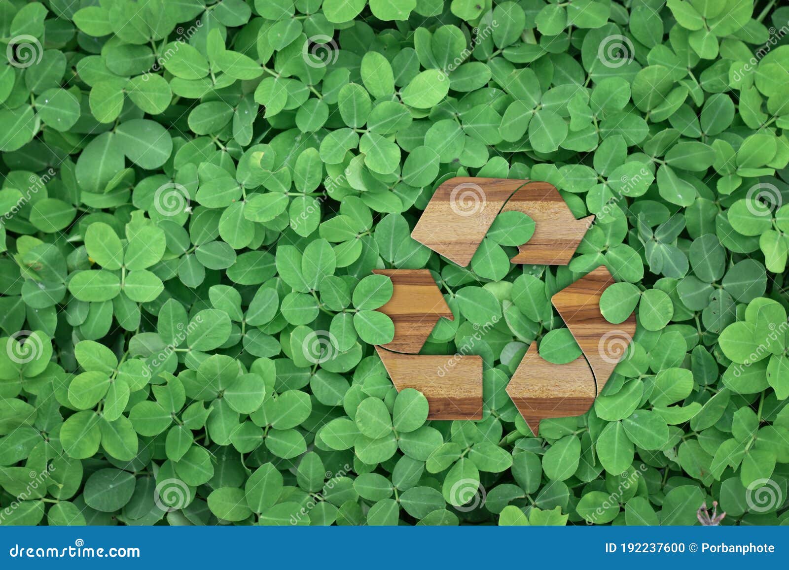Recycle Logo on Green Leaves Background Stock Photo - Image of idea ...